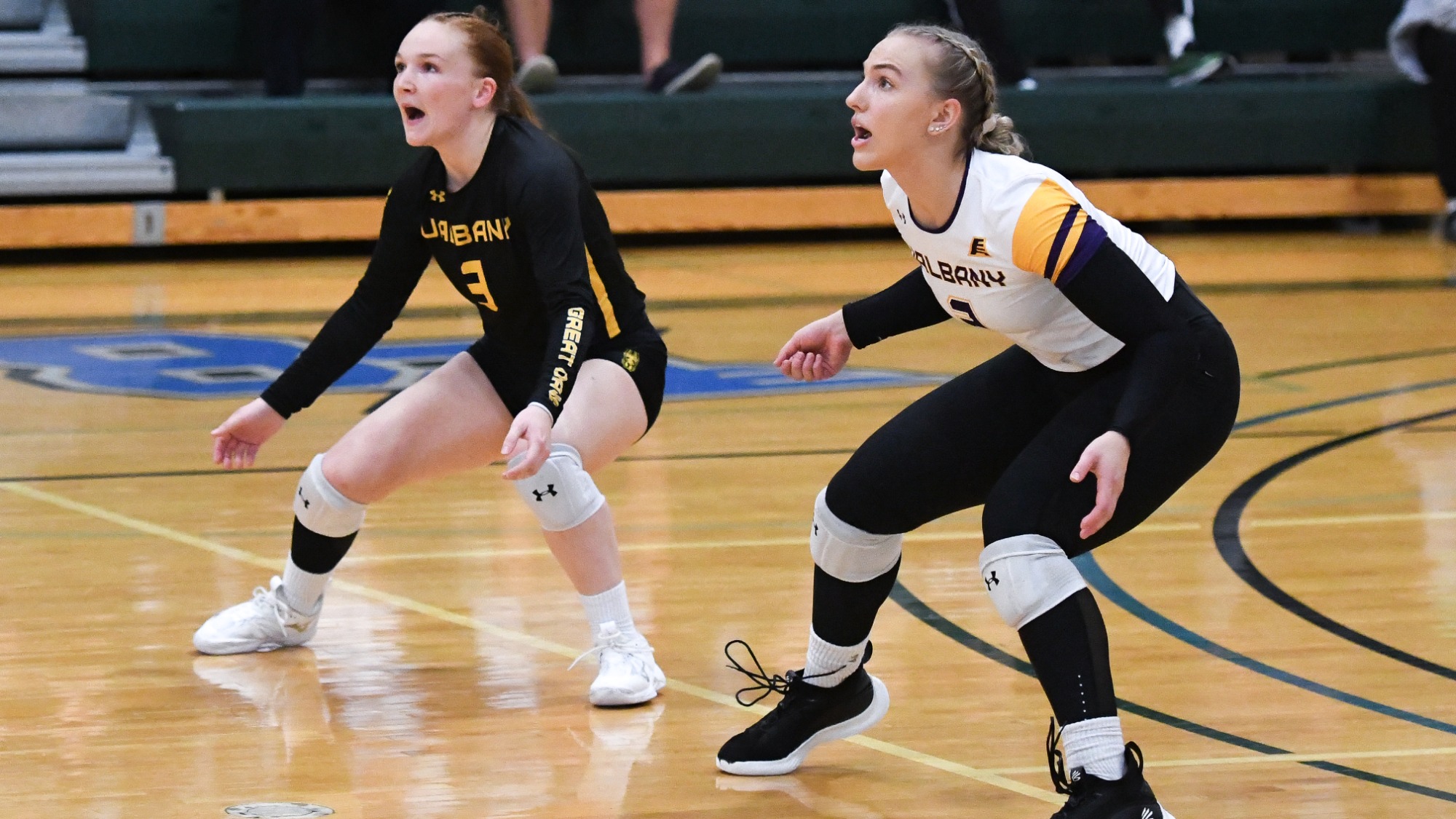 Kaleigh Fitzgerald - 2022 - Women's Volleyball - University at Albany ...