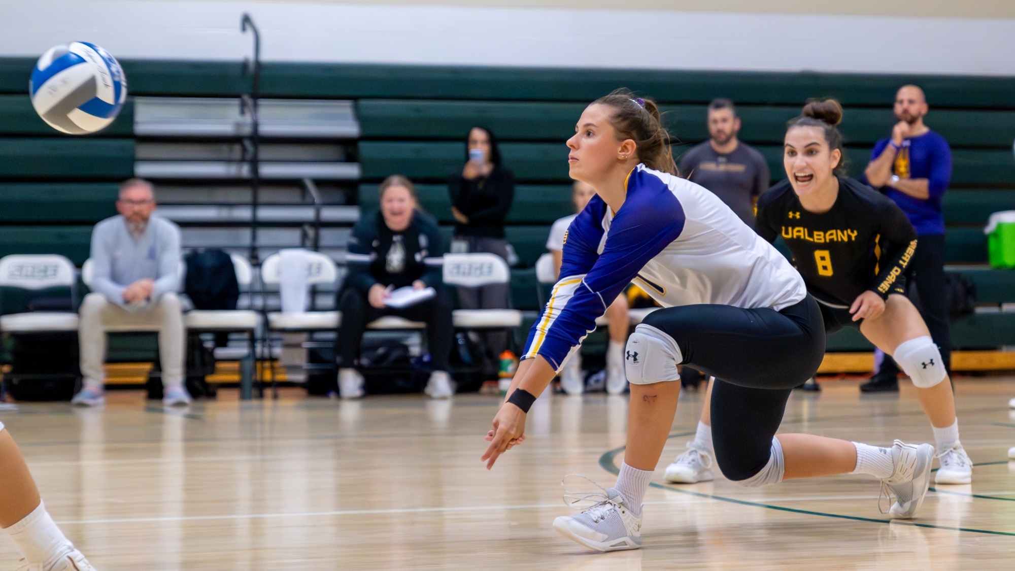 Anna Myhal - 2024 - Women's Volleyball - University at Albany Great Danes