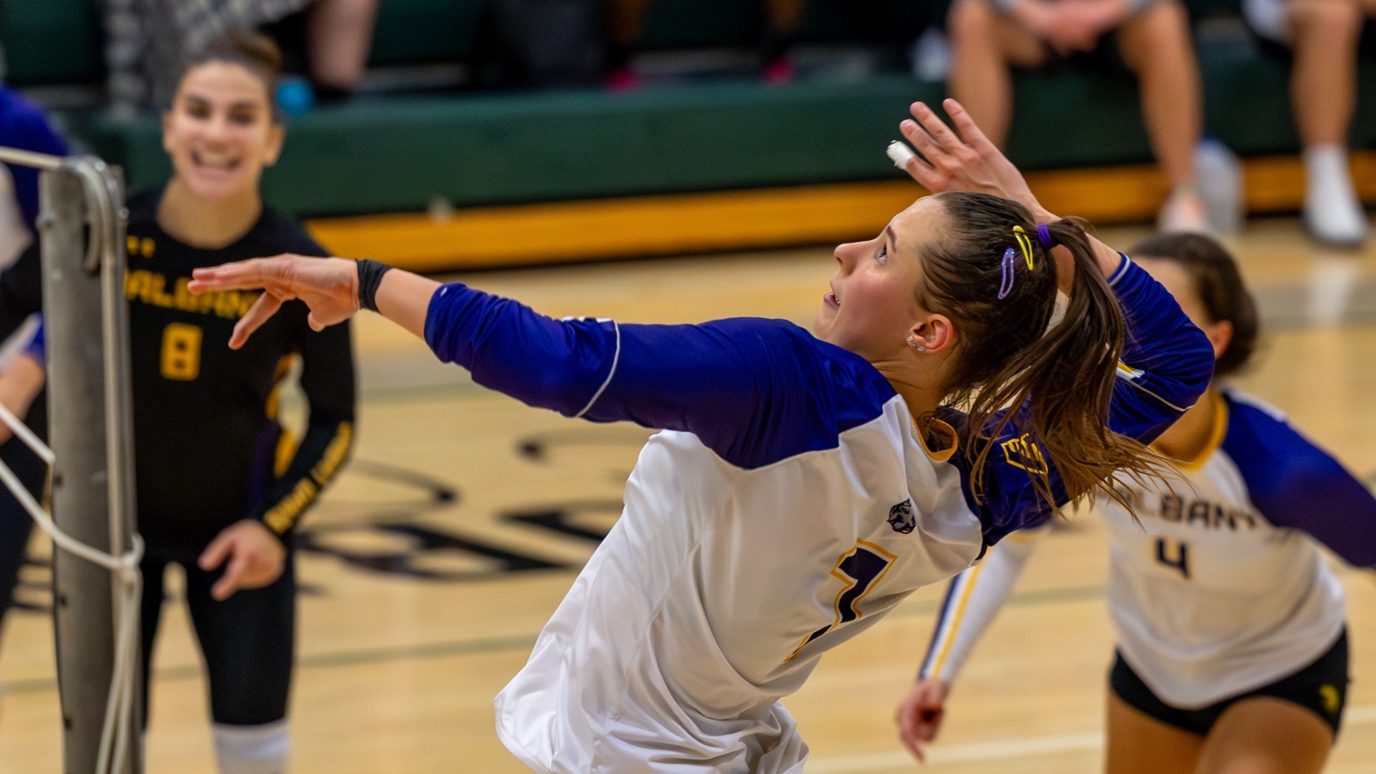 Anna Myhal - 2024 - Women's Volleyball - University at Albany Great Danes