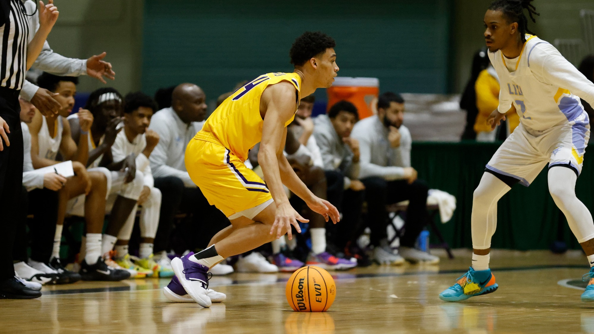 Men’s Basketball to Play LIU at Barclays Center Dec. 28 - University at ...