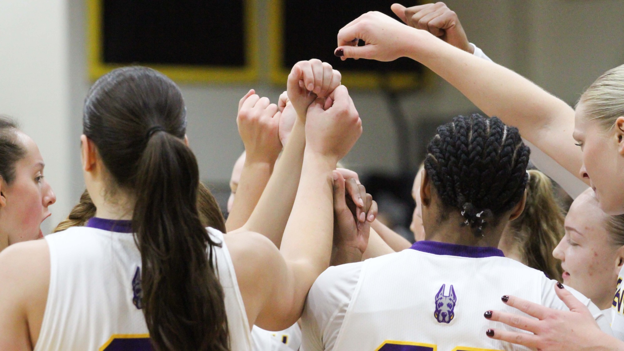 Women’s Basketball Battles at #4 Stanford - University at Albany Great Danes