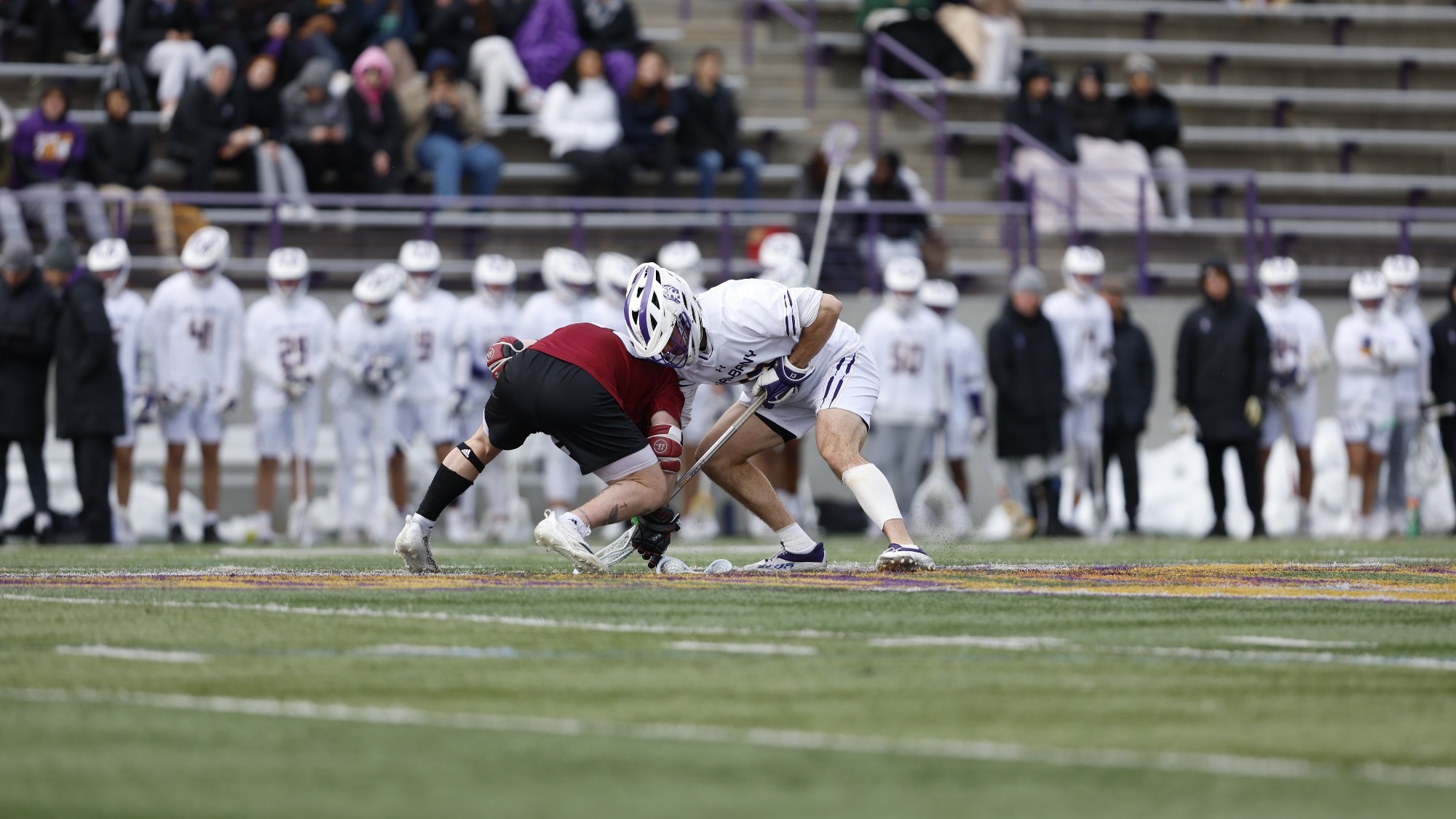 Men's Lacrosse Falls Against UMass 9-6 - University at Albany Great Danes