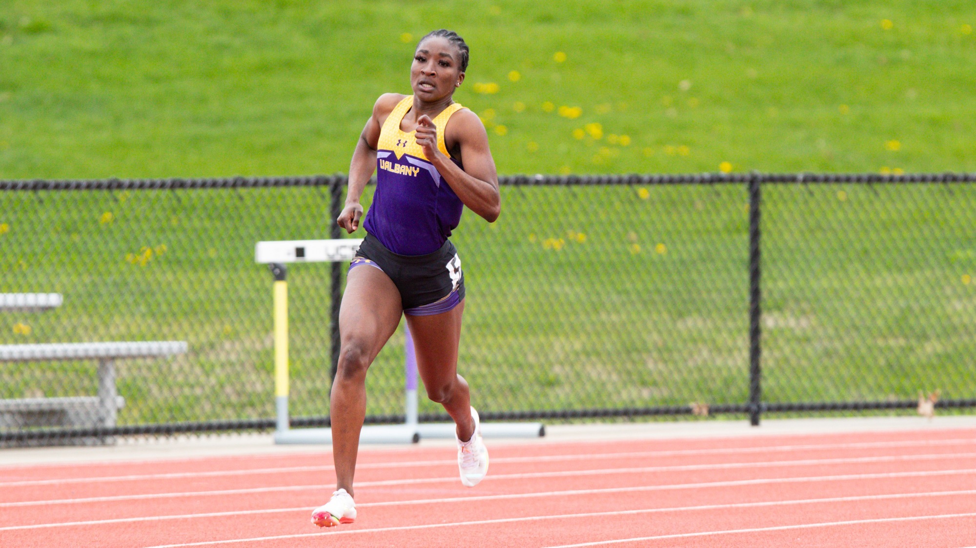 Lowe, Henry Named Performers of the Week - University at Albany Great Danes