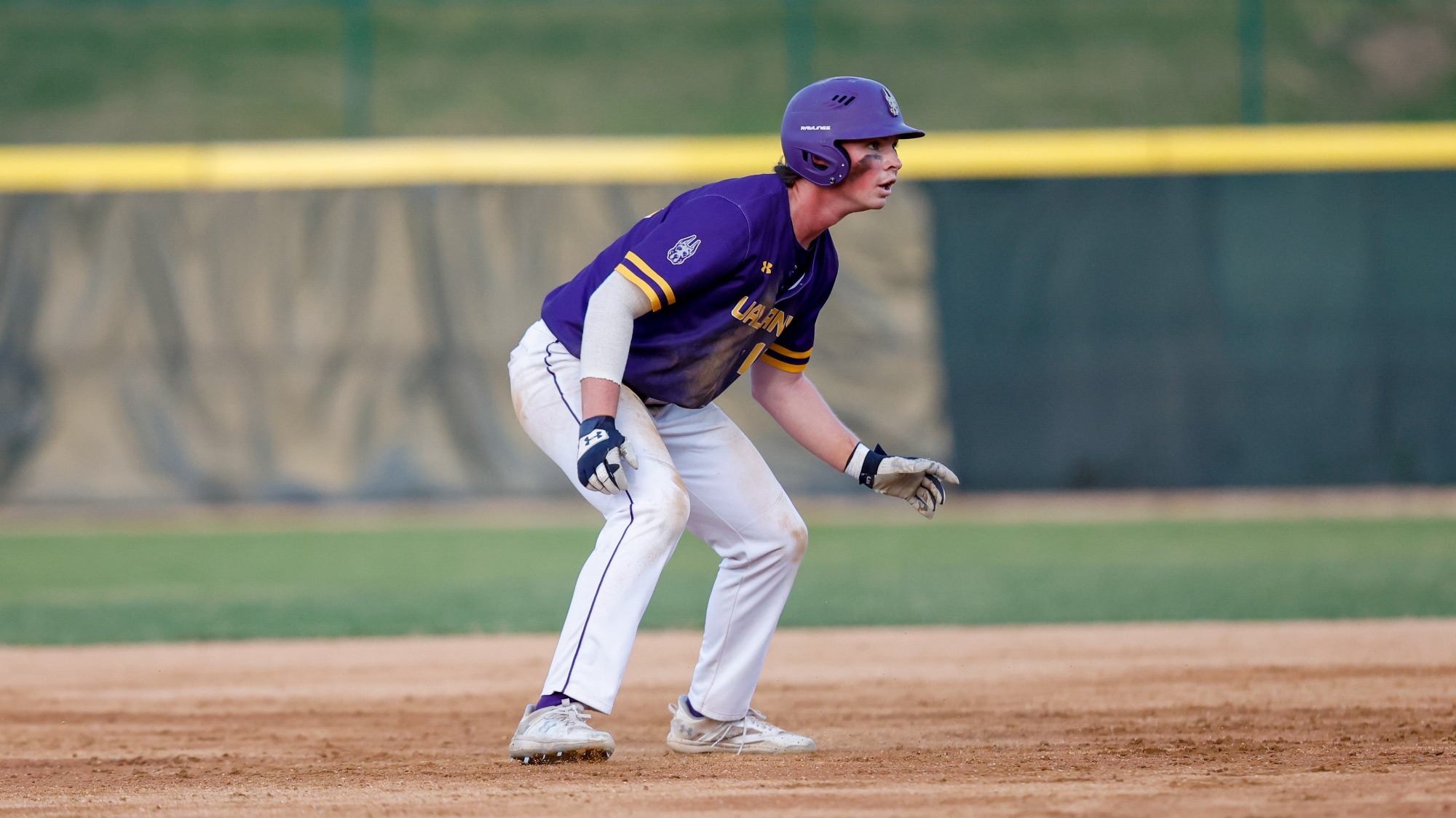 Will Binder - 2024 - Baseball - University at Albany Great Danes