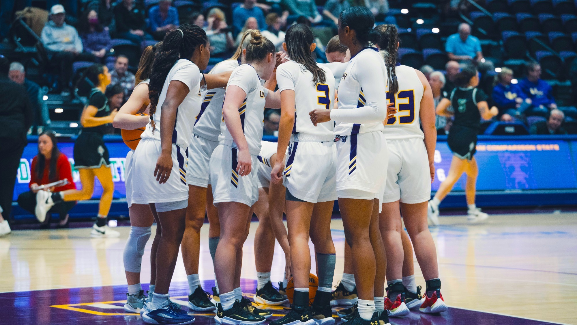 Women's Basketball Falls at Vermont - University at Albany Great Danes