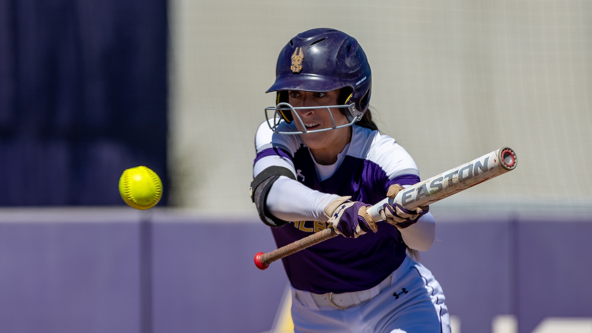 Caitlyn Mitros - 2024 - Softball - University at Albany Great Danes