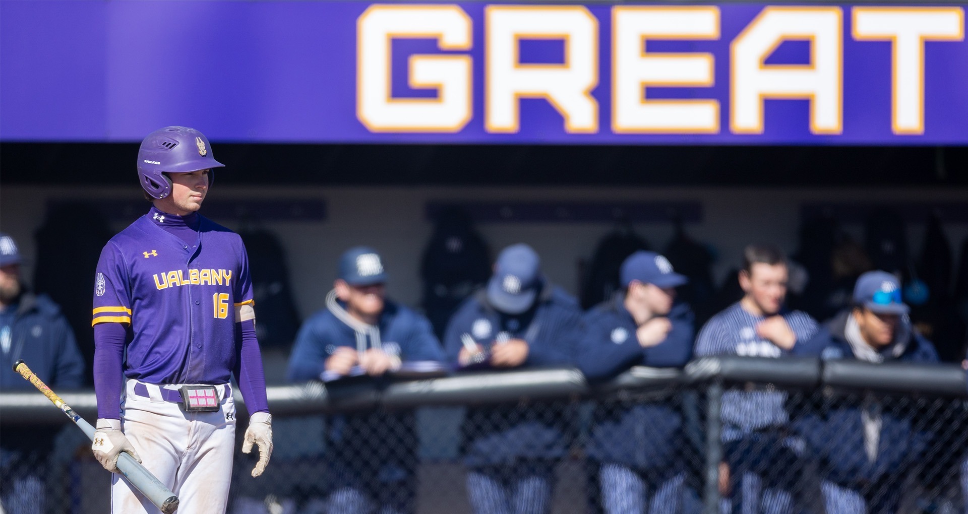 Will Binder - 2024 - Baseball - University at Albany Great Danes