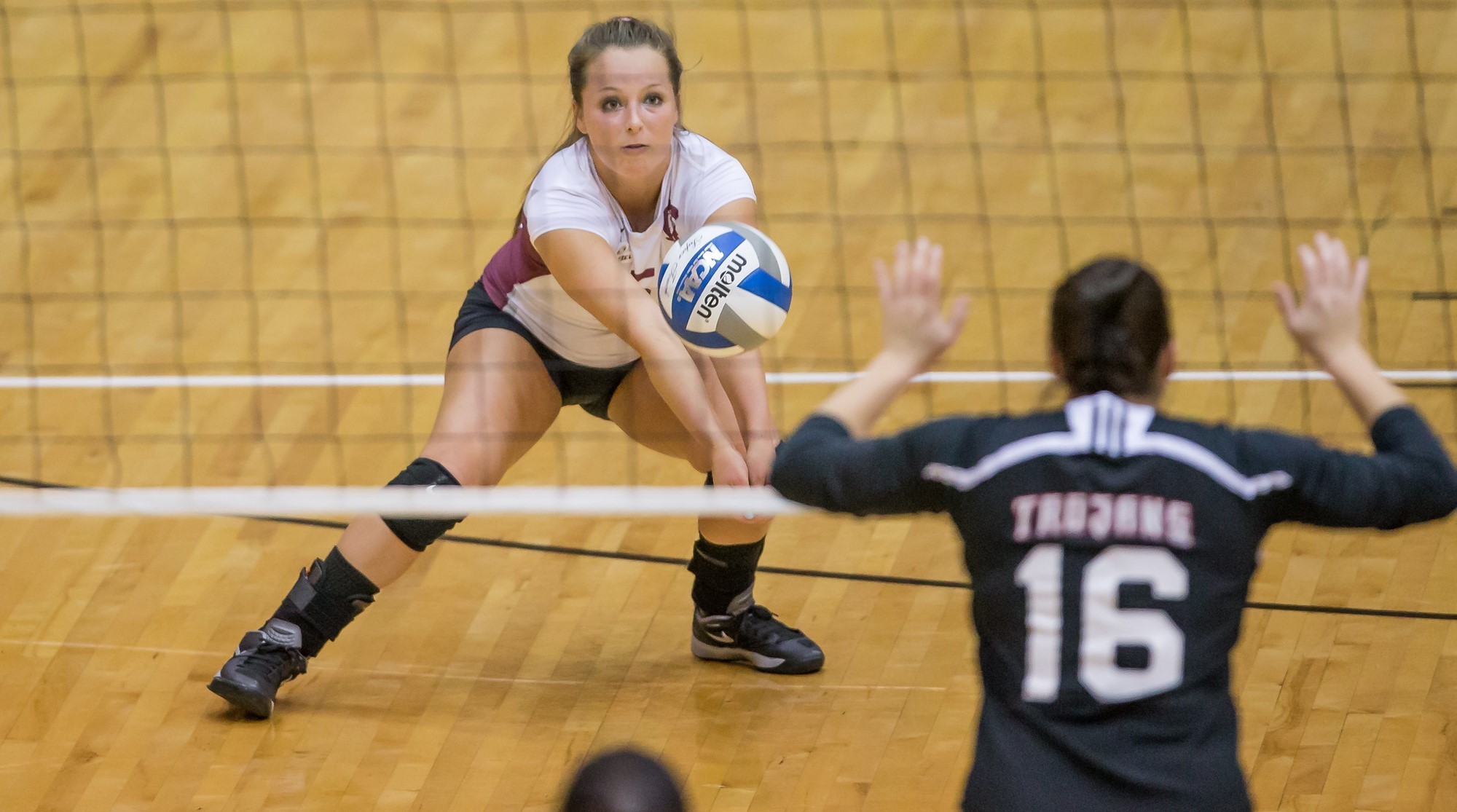 Kelsey Leech - 2016 - Volleyball - Little Rock Athletics