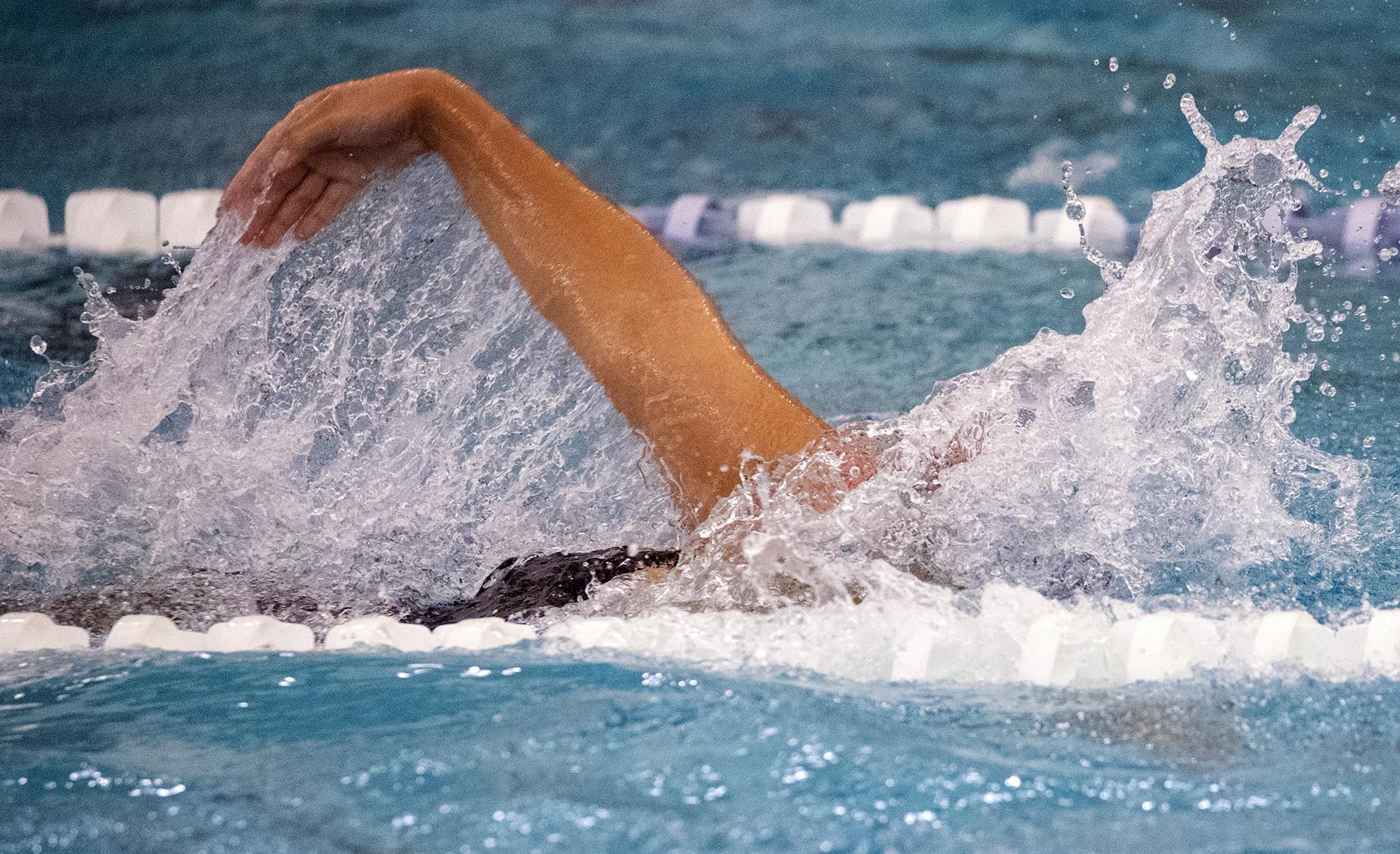 Swimming and Diving to Compete in Conference Tri-Meet - Little Rock ...