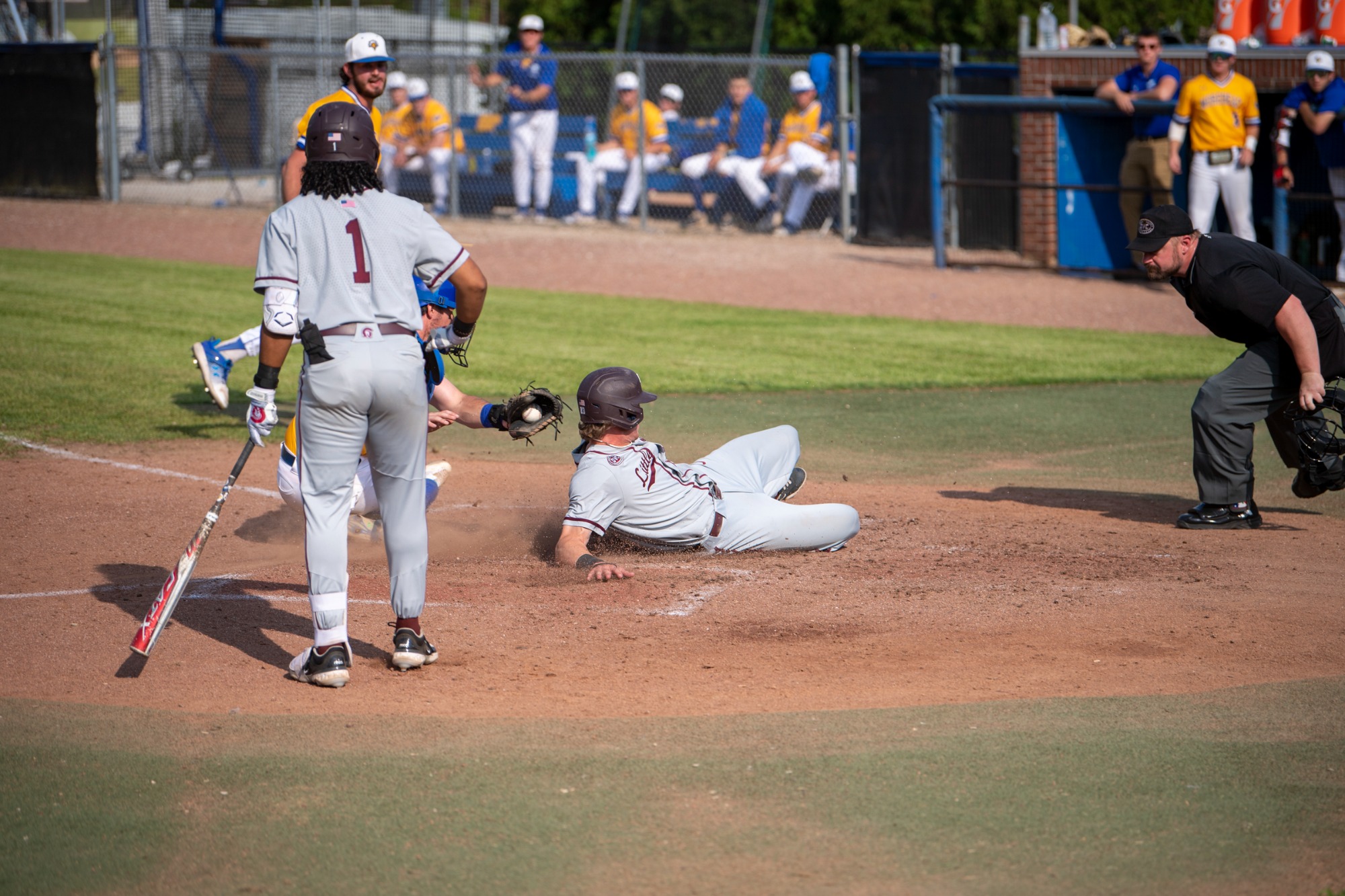 Luke Pectol - 2024 - Baseball - Little Rock Athletics