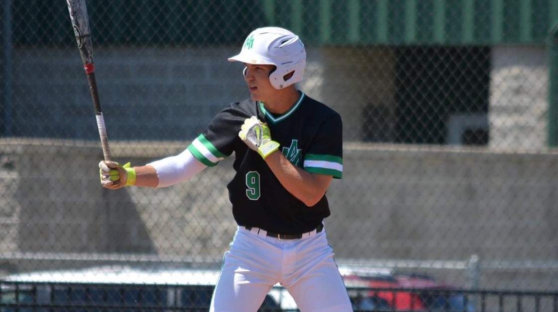 Brian Ray - 2018 - Baseball - University of Arkansas at Monticello ...