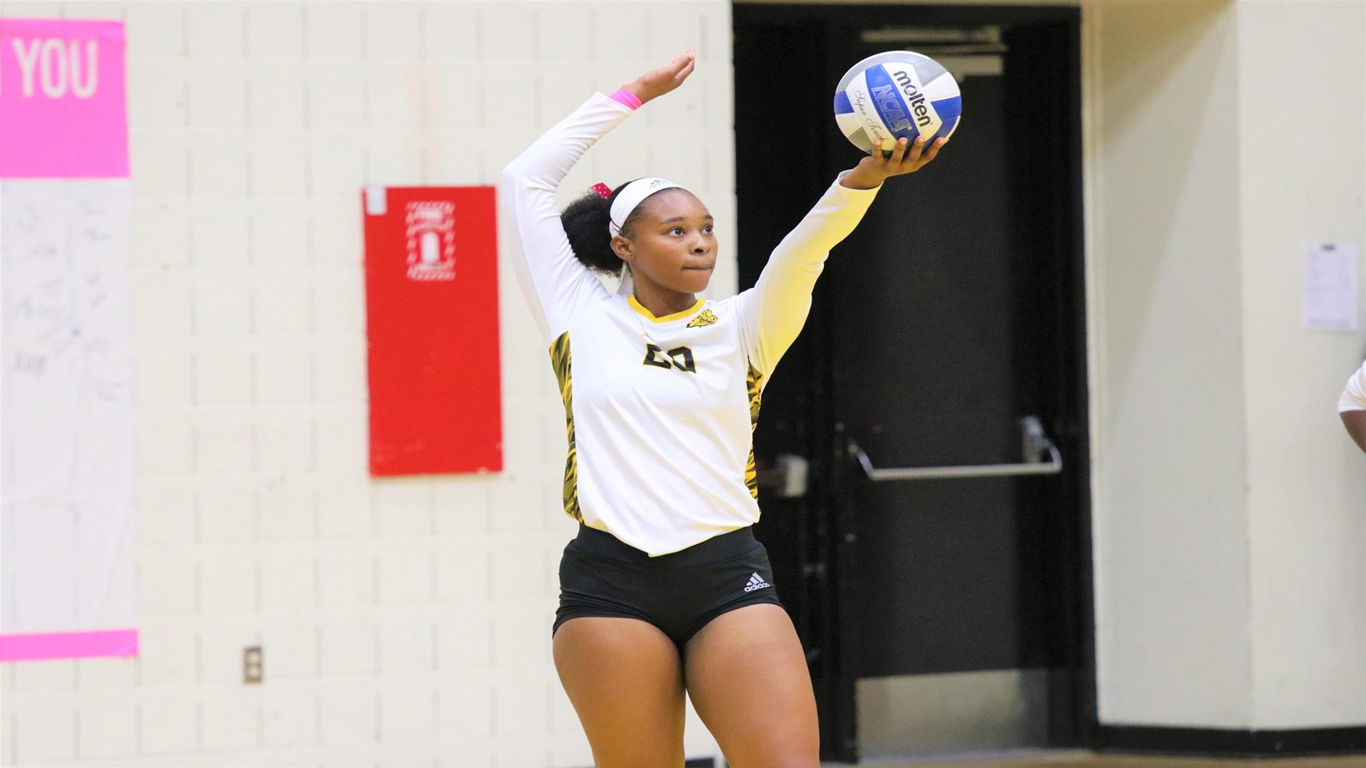 Volleyball Falls At Prairie View - UA Pine Bluff Athletics