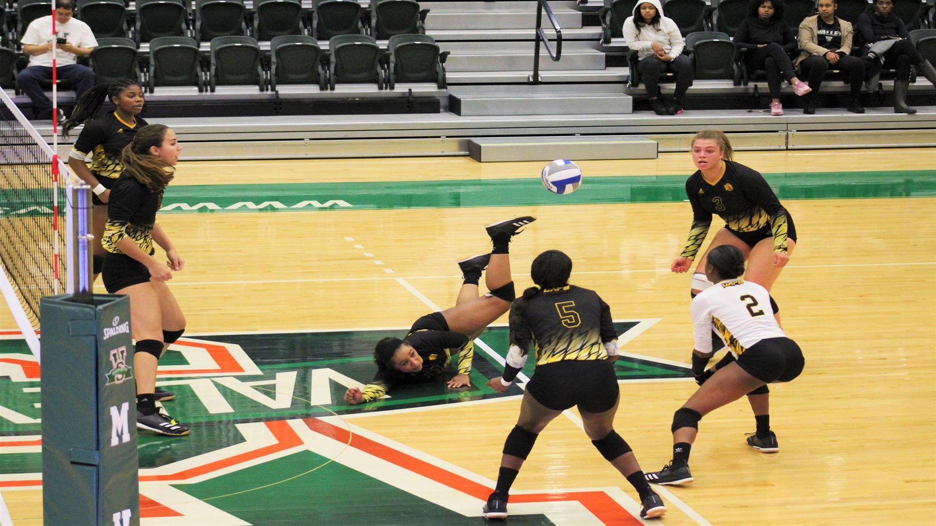 Haley Gomez - Volleyball - UA Pine Bluff Athletics