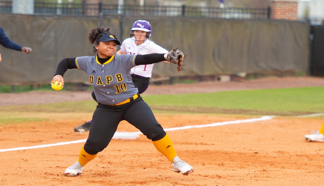 Golden Lions Softball Drop Pair at the Lady Demon Classic - UA Pine ...