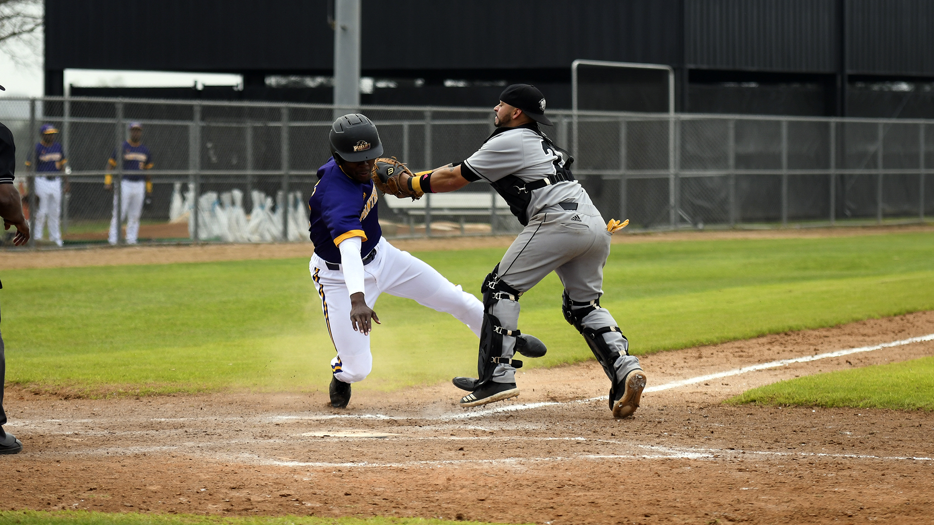 Ricardo Sanchez - Baseball - UA Pine Bluff Athletics