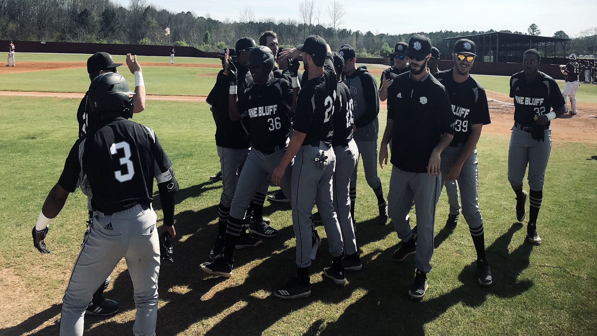 Brandon Simon - Baseball - UA Pine Bluff Athletics