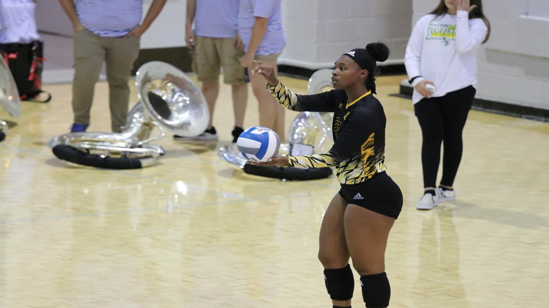 Bri-Anna Armstrong - Volleyball - UA Pine Bluff Athletics