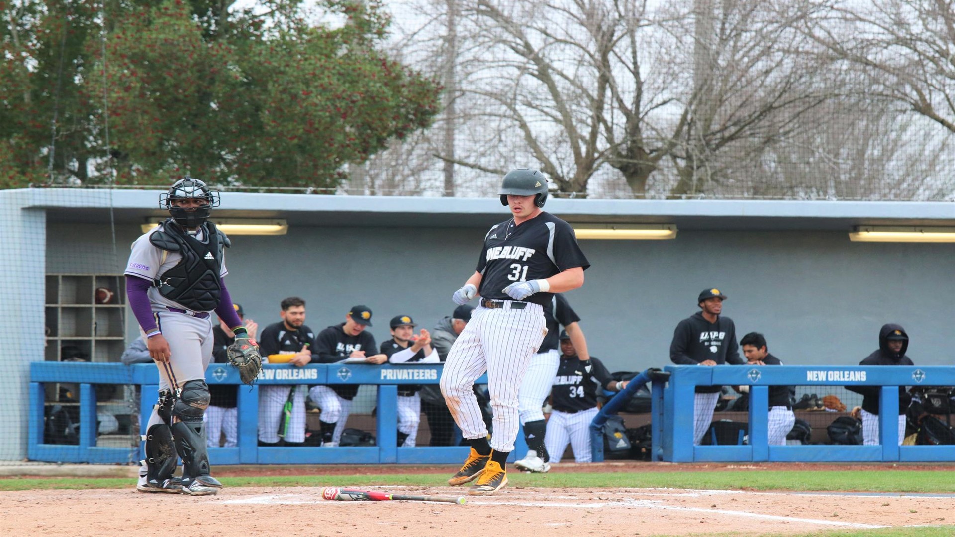 Austin Krzeminski - Baseball - UA Pine Bluff Athletics