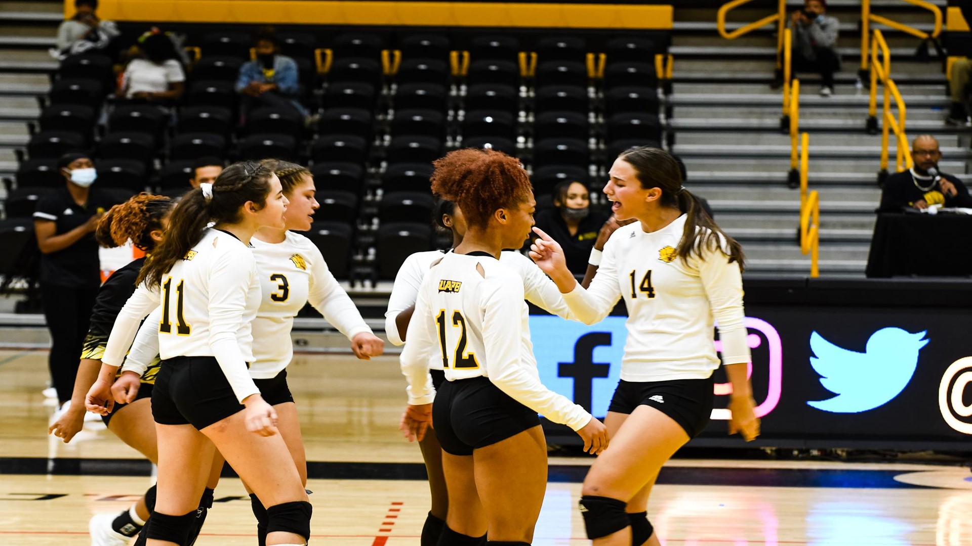 Haley Gomez - Volleyball - UA Pine Bluff Athletics