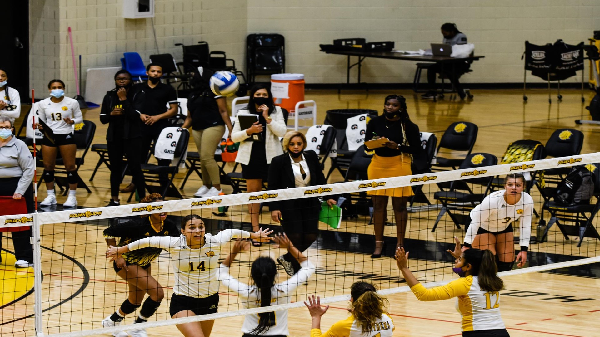 Haley Gomez - Volleyball - UA Pine Bluff Athletics