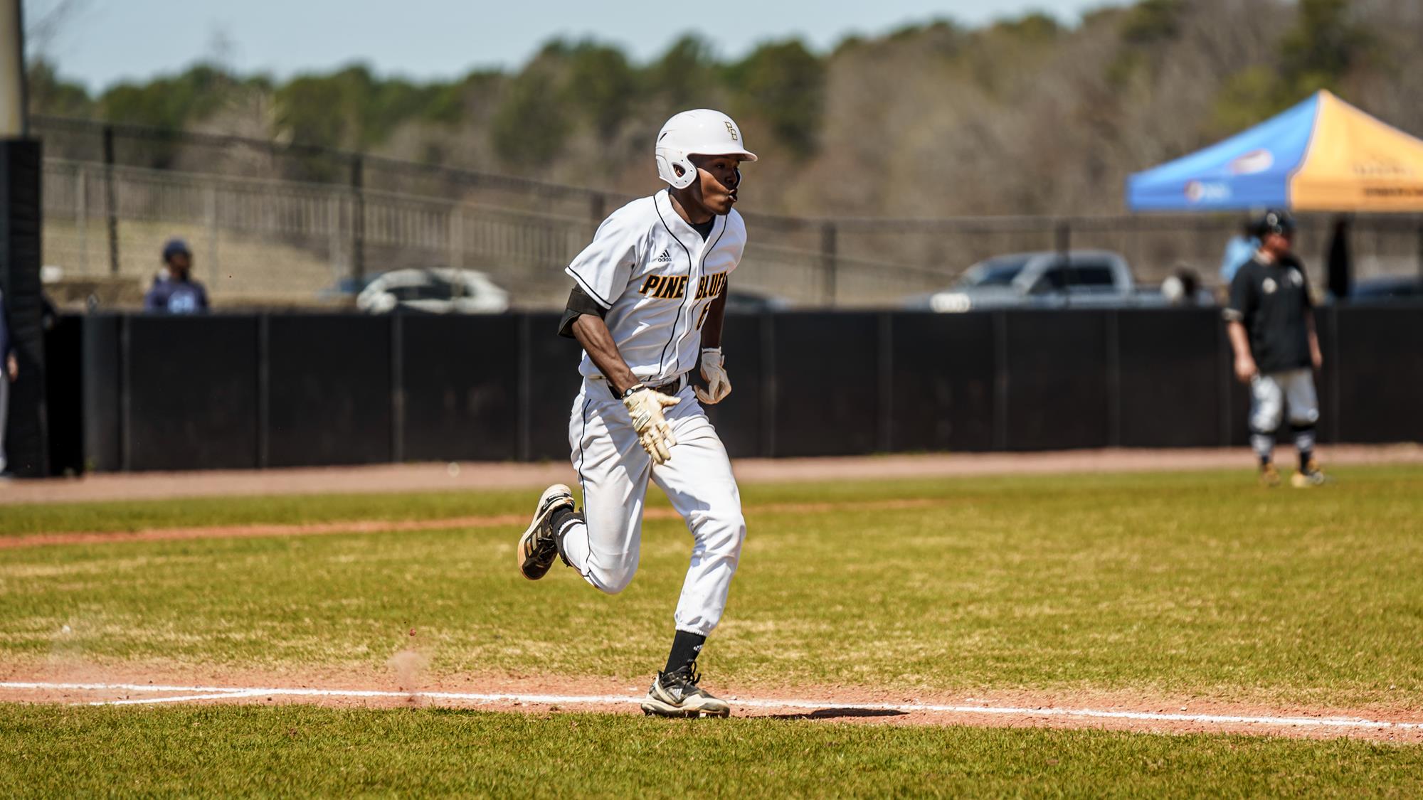 Timothy Martin - Baseball - UA Pine Bluff Athletics