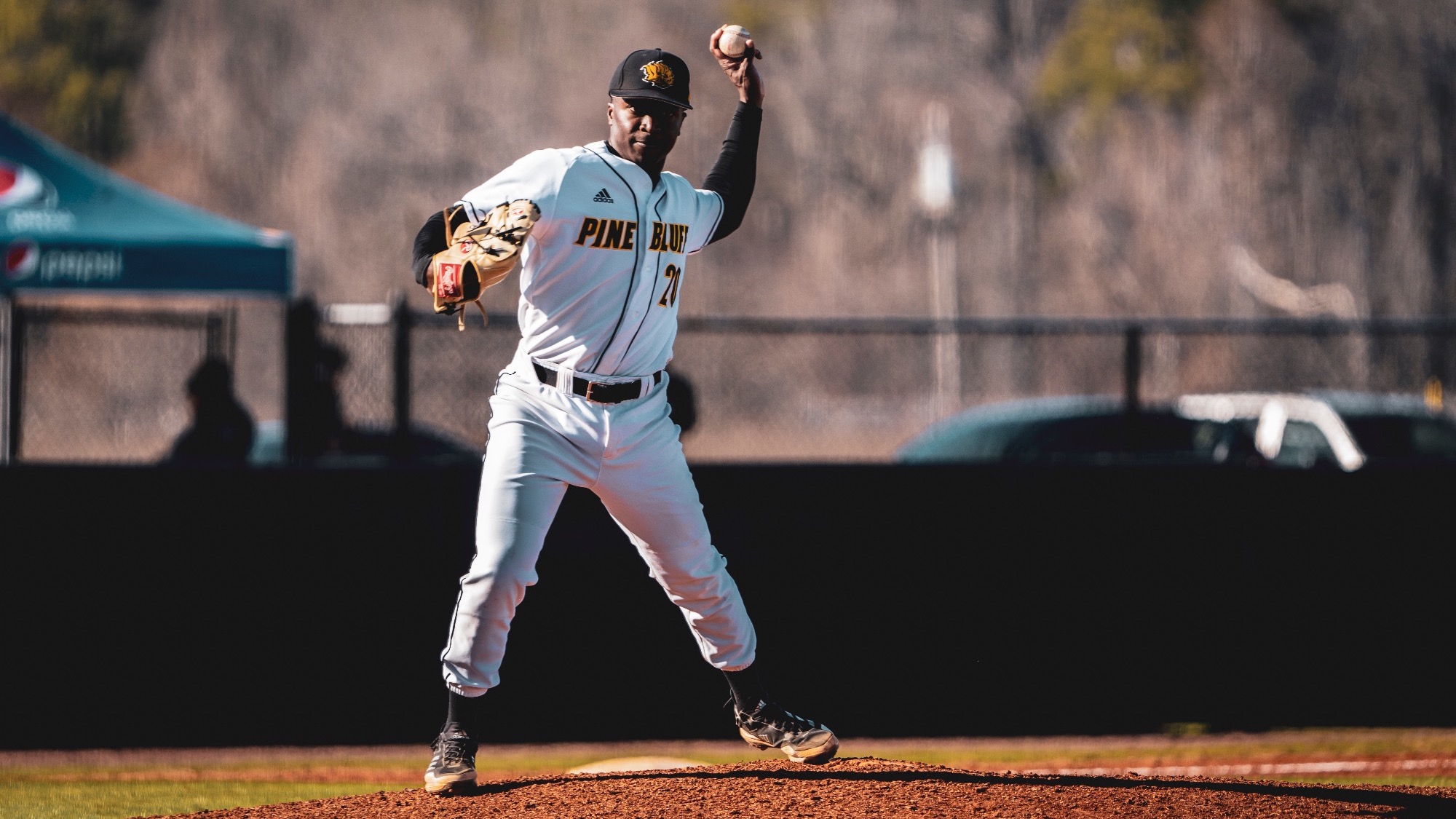 #UAPB Student-Athletes Continue To Shine In The Classroom - UA Pine ...