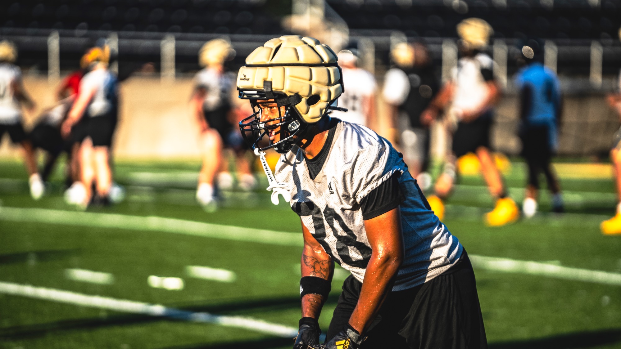 SWAC Western Division Champions UAPB 2021 Football Season Tickets On ...