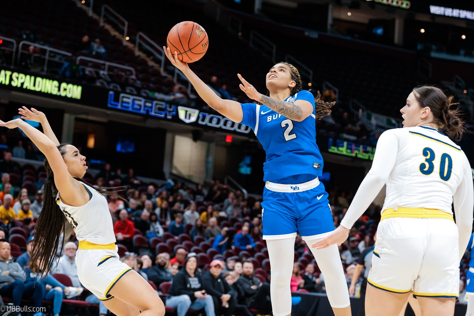 Kirsten Lewis-Williams - 2024-25 - Women's Basketball - University at ...