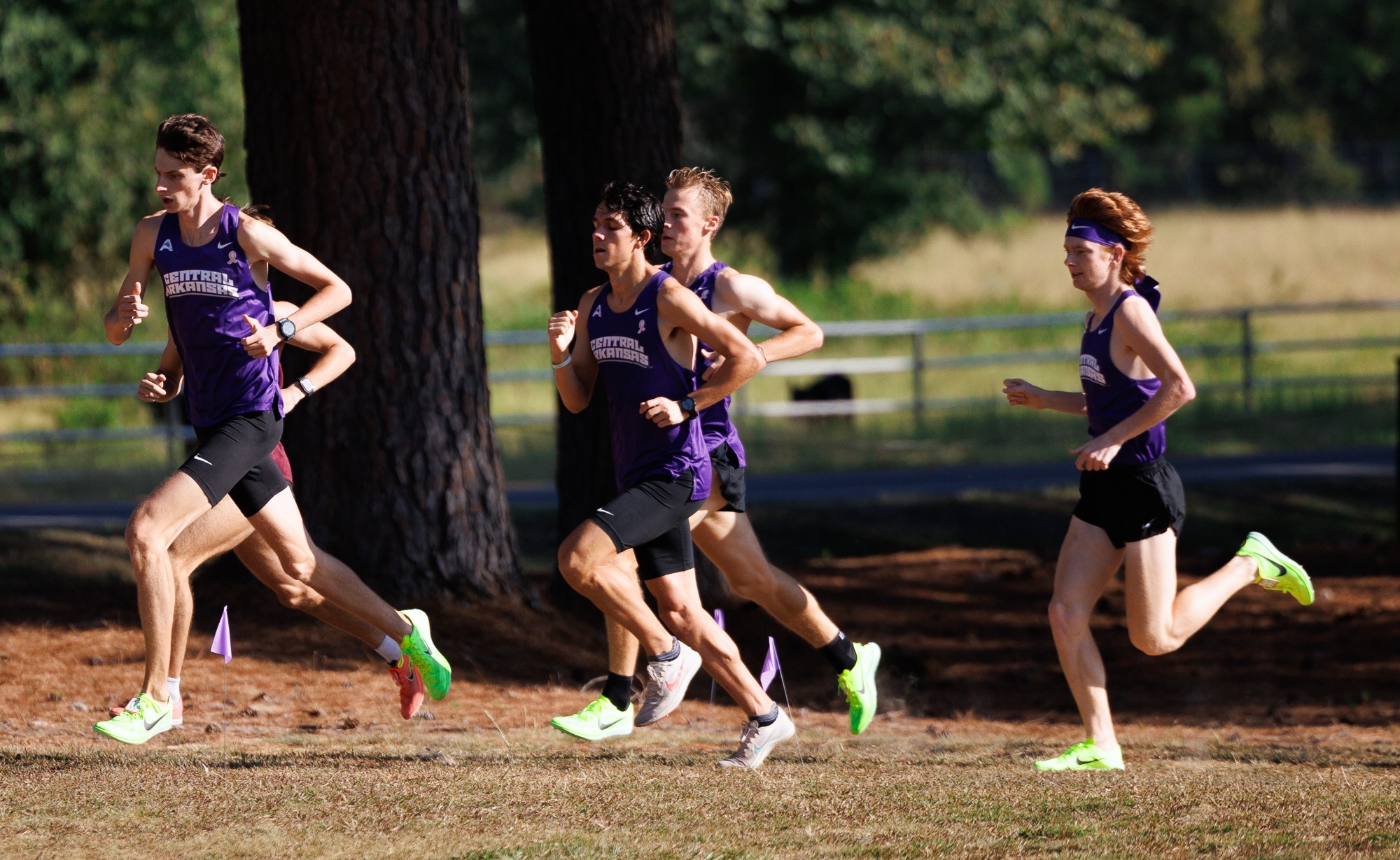 Bears Race to NCAA South Central Region Meet This Friday - University ...