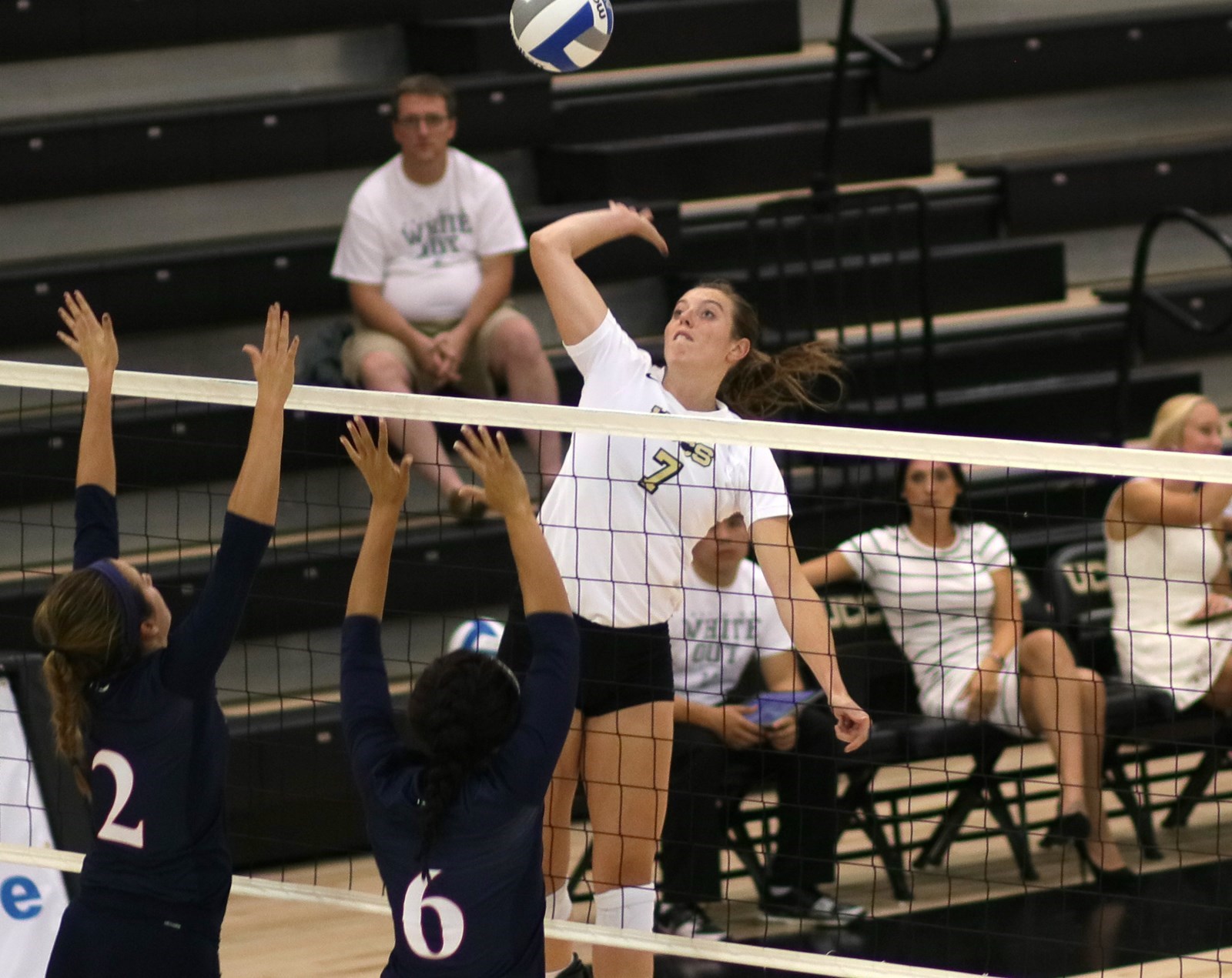 Taylor Hamilton - Volleyball - UCCS Athletics