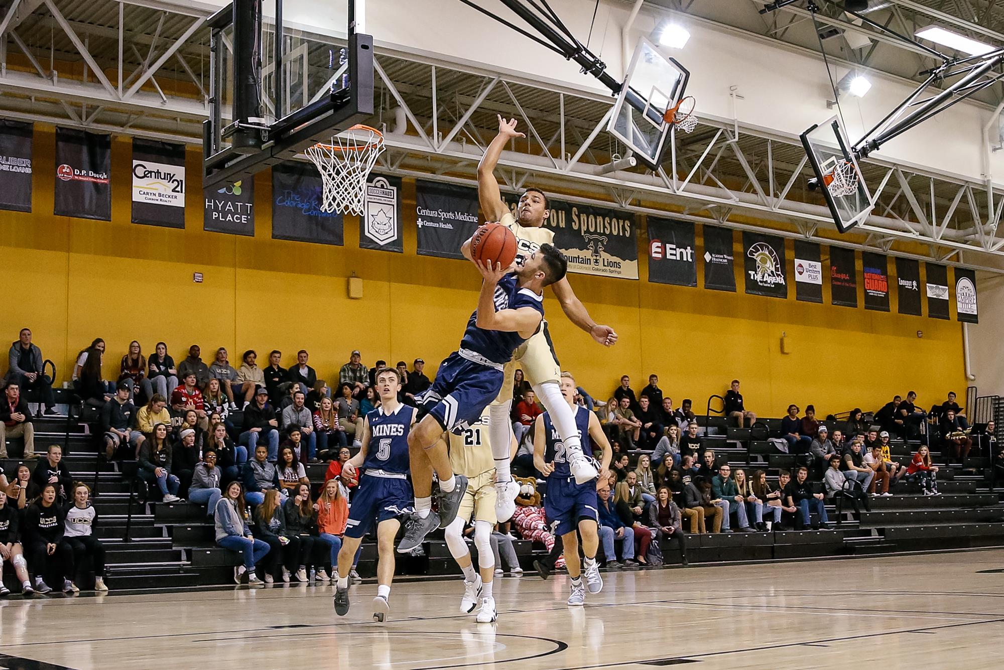 Brandon Malone - Men's Basketball - UCCS Athletics