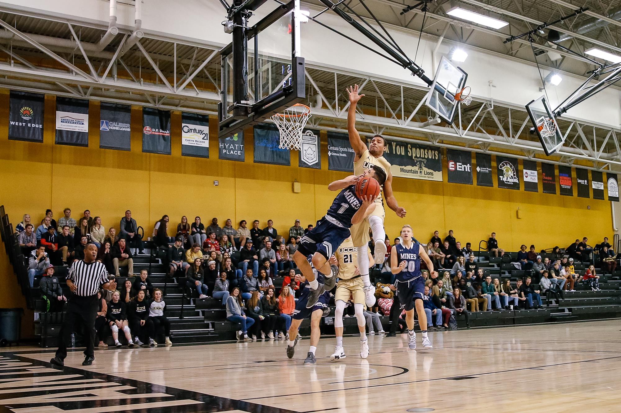 Brandon Malone - Men's Basketball - UCCS Athletics