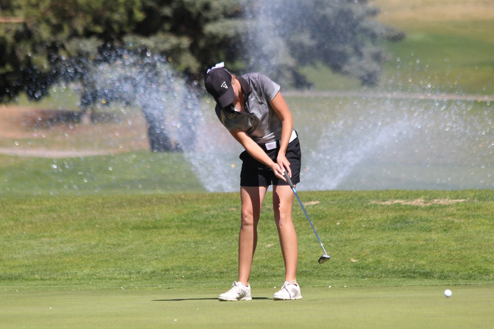 Alex Darwin - Women's Golf - UCCS Athletics