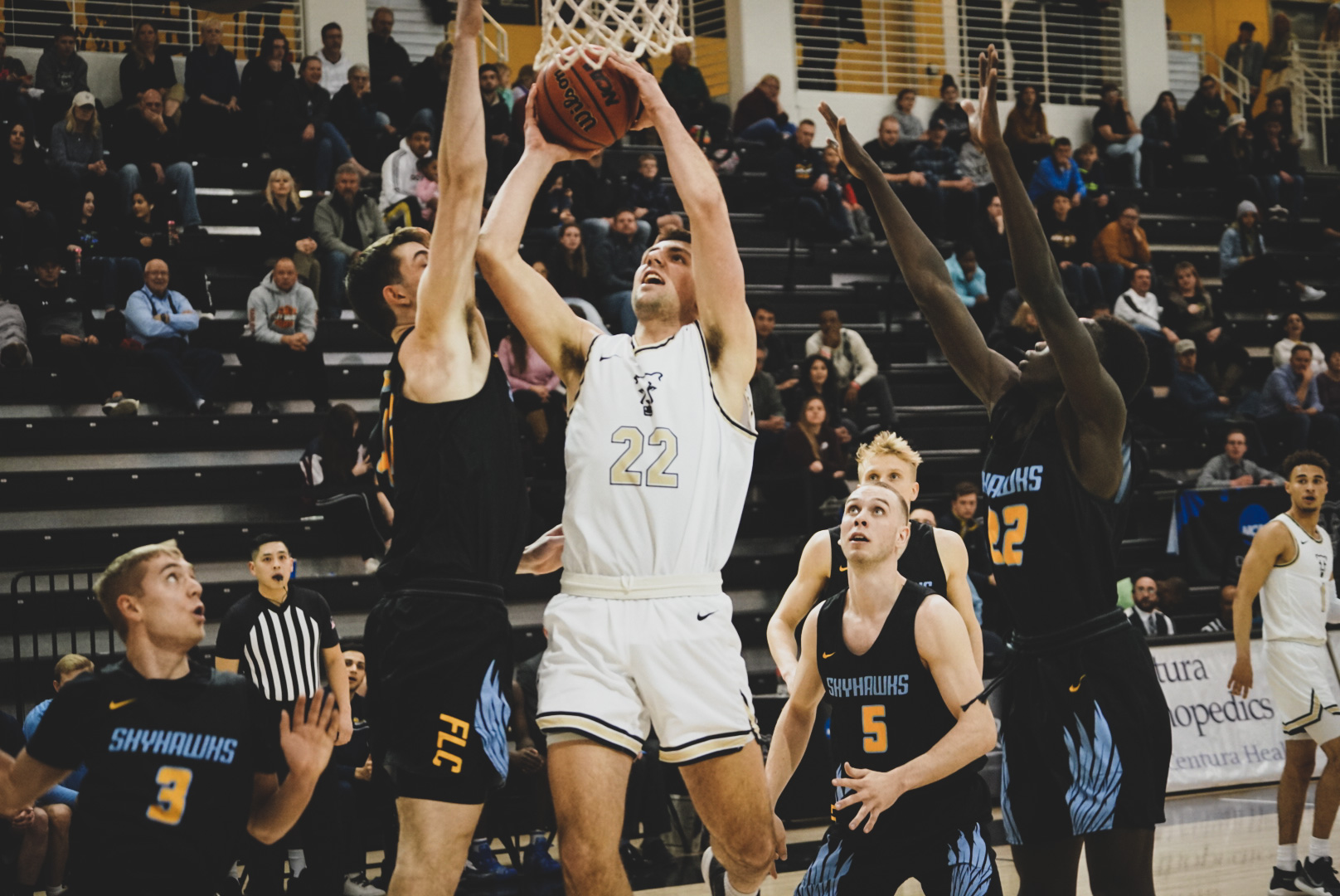 Enzo Sechi - Men's Basketball - UCCS Athletics