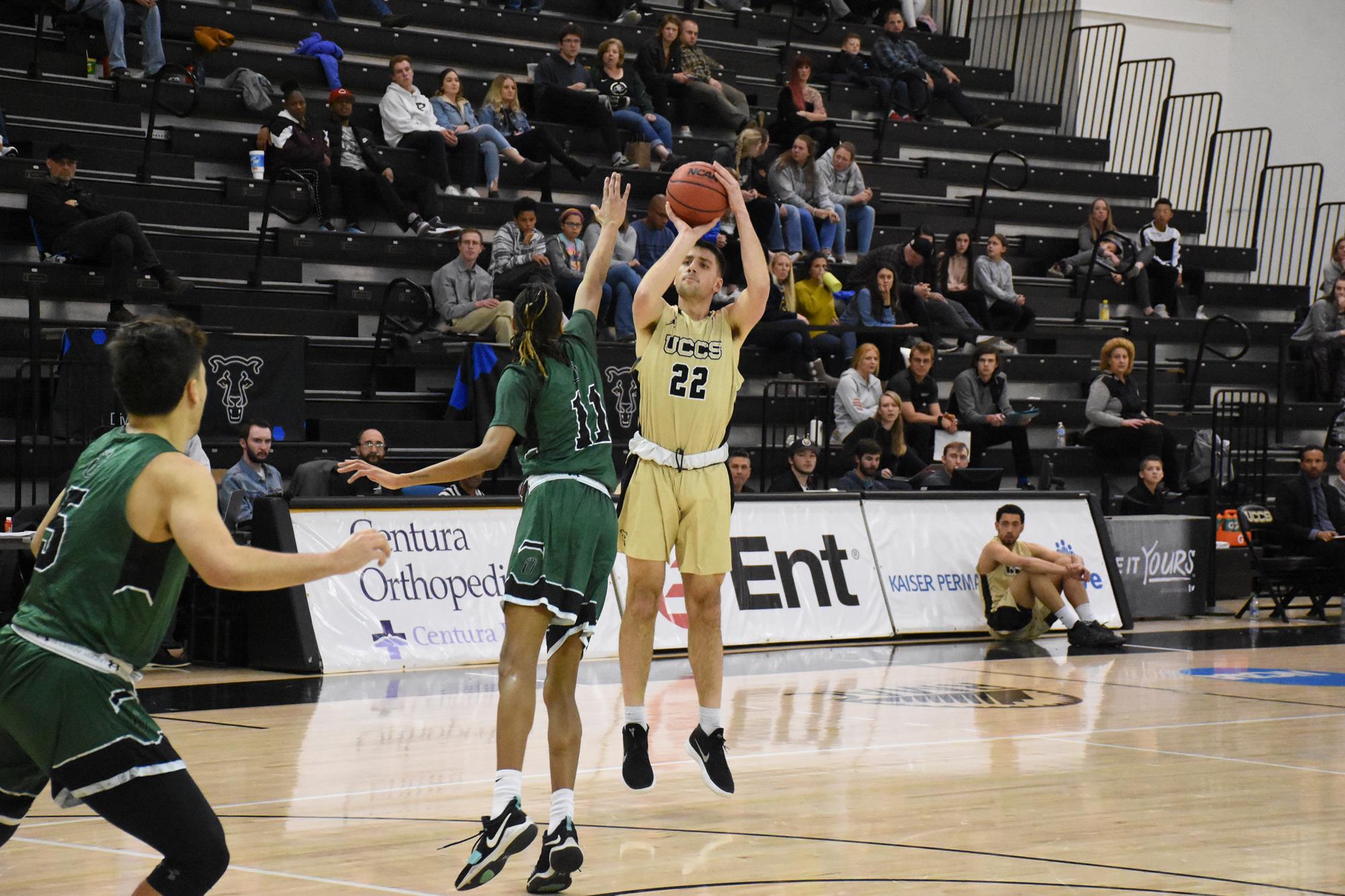 Enzo Sechi - Men's Basketball - UCCS Athletics