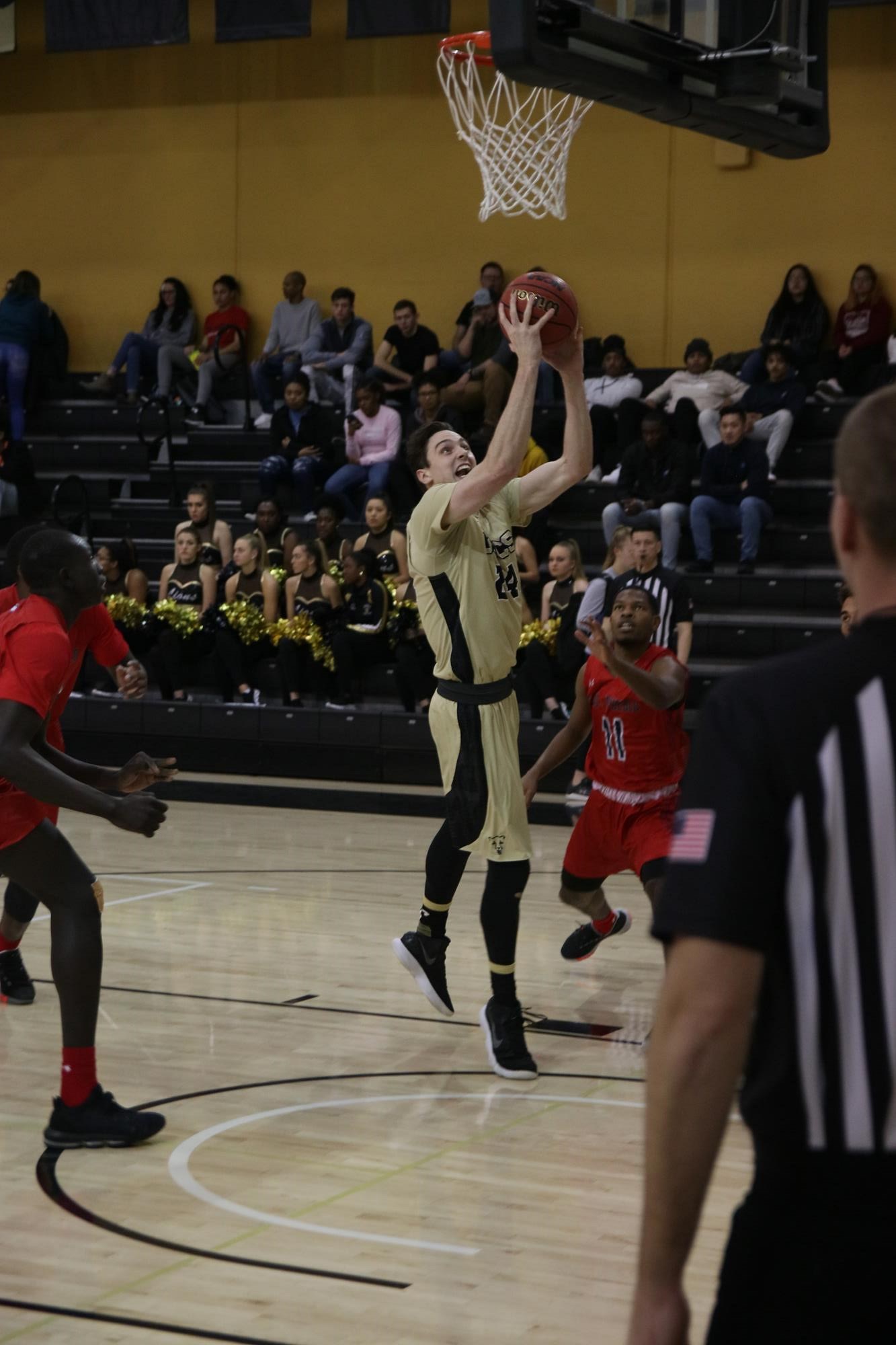 Ed Bourke - Men's Basketball - UCCS Athletics