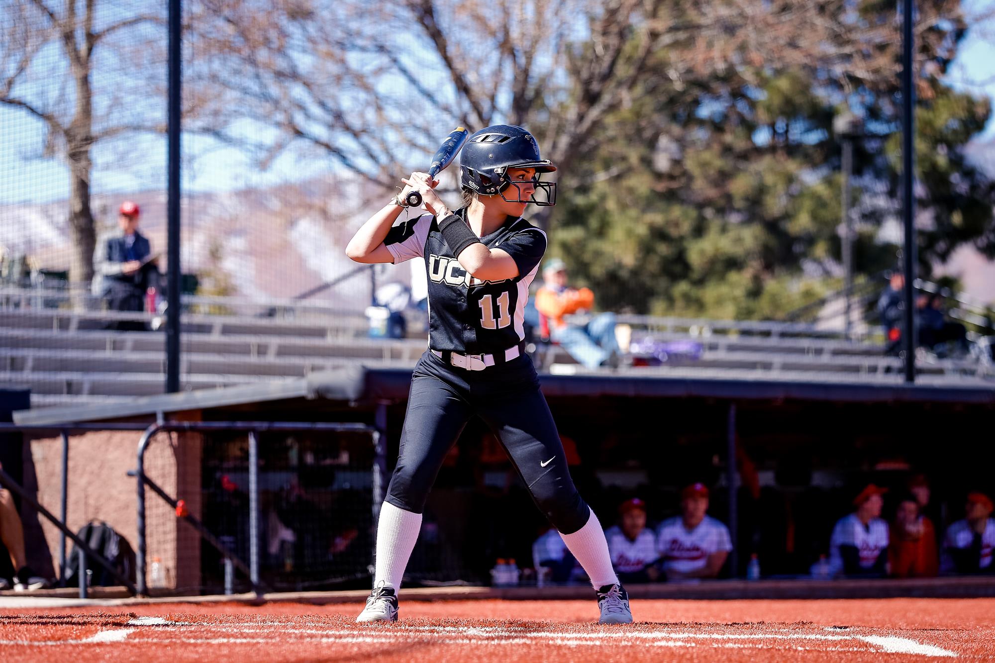 Taylor Harrison - Softball - UCCS Athletics