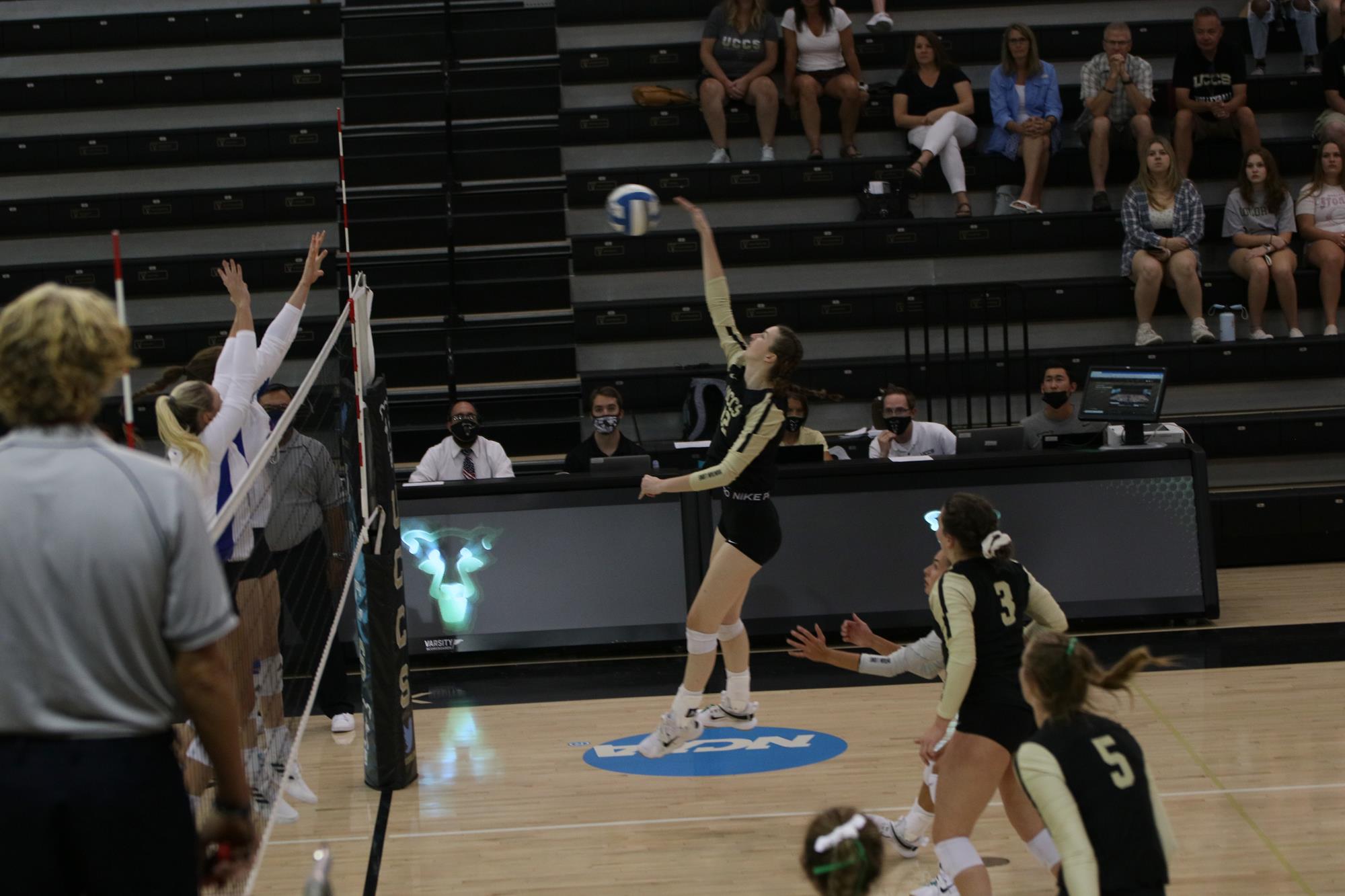 Grace Ferguson - Volleyball - UCCS Athletics
