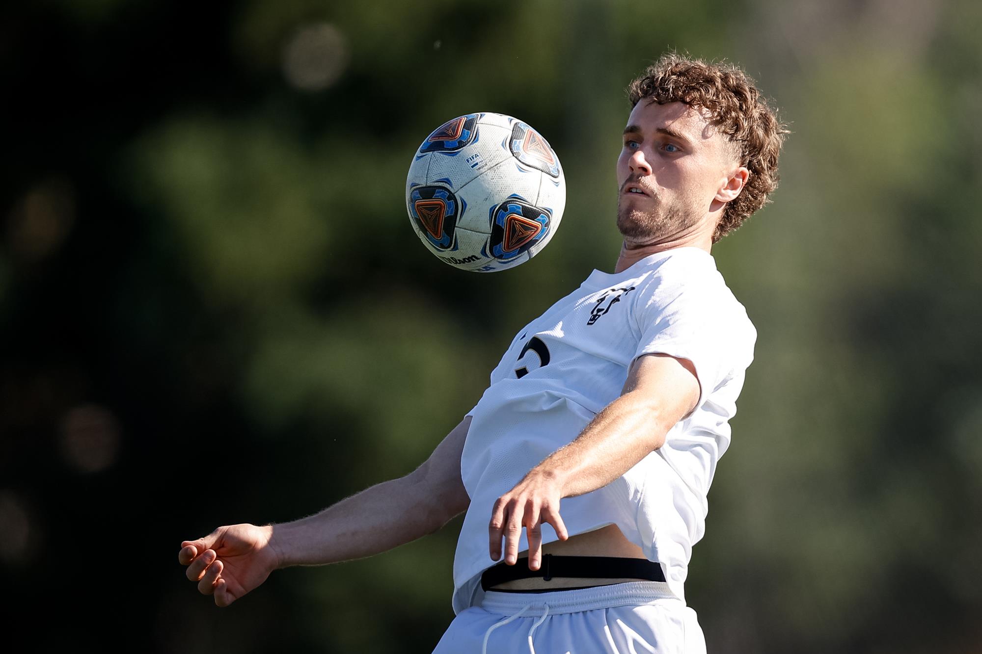 Luke Sussex - Men's Soccer - UCCS Athletics