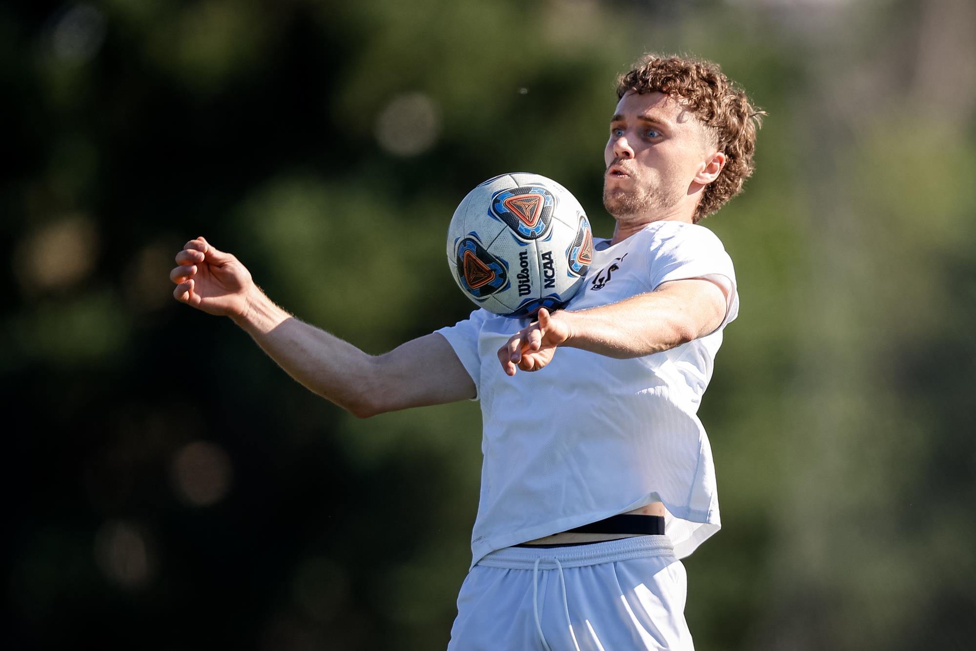 Luke Sussex - Men's Soccer - UCCS Athletics