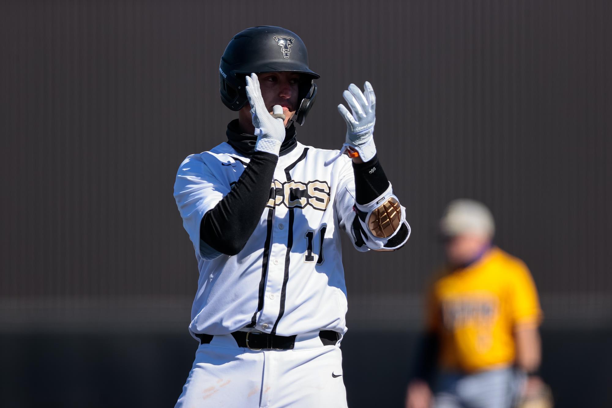 Ryan Schmidt - Baseball - UCCS Athletics