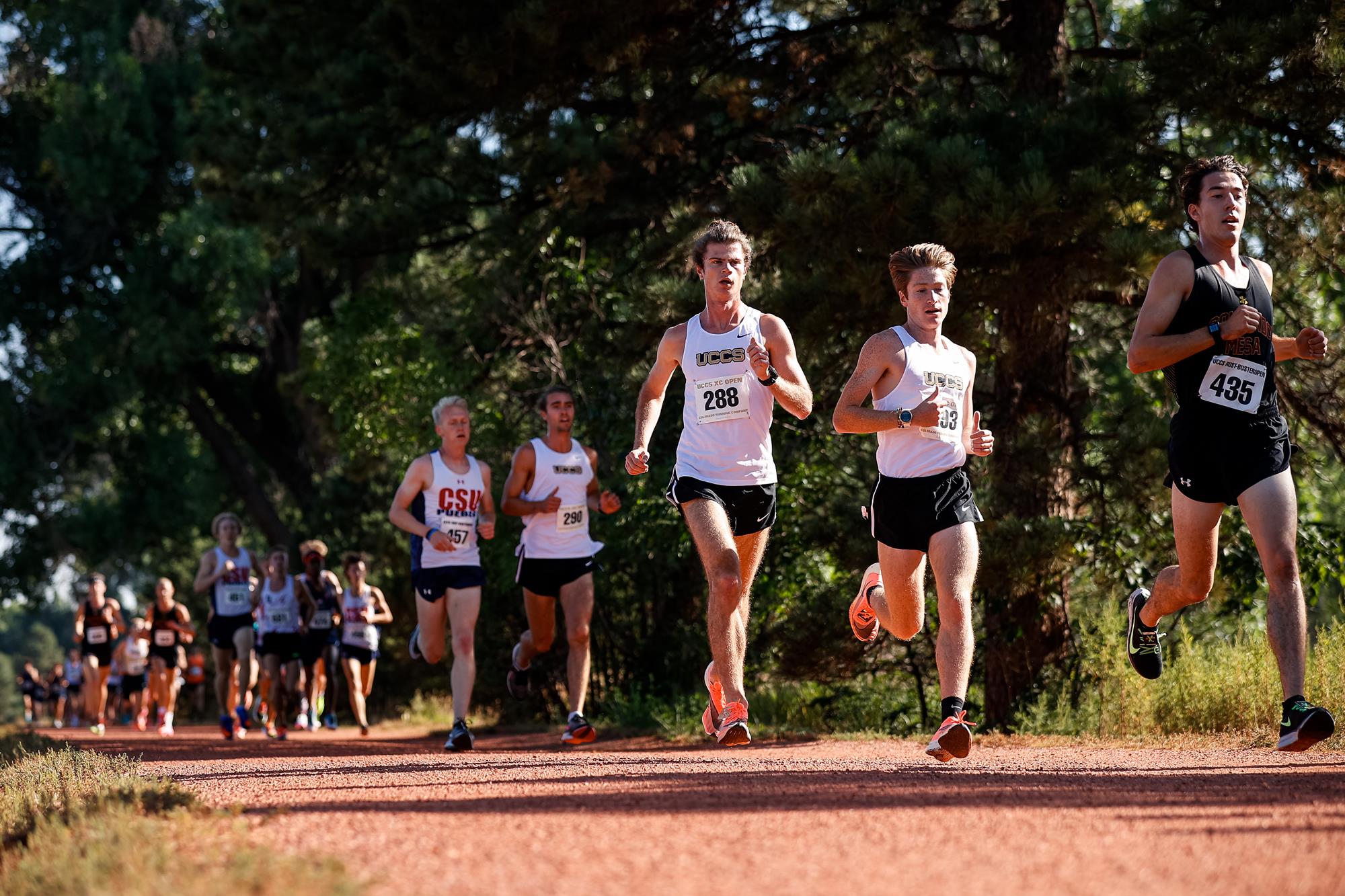 Branden Bohling - Men's Cross Country - UCCS Athletics