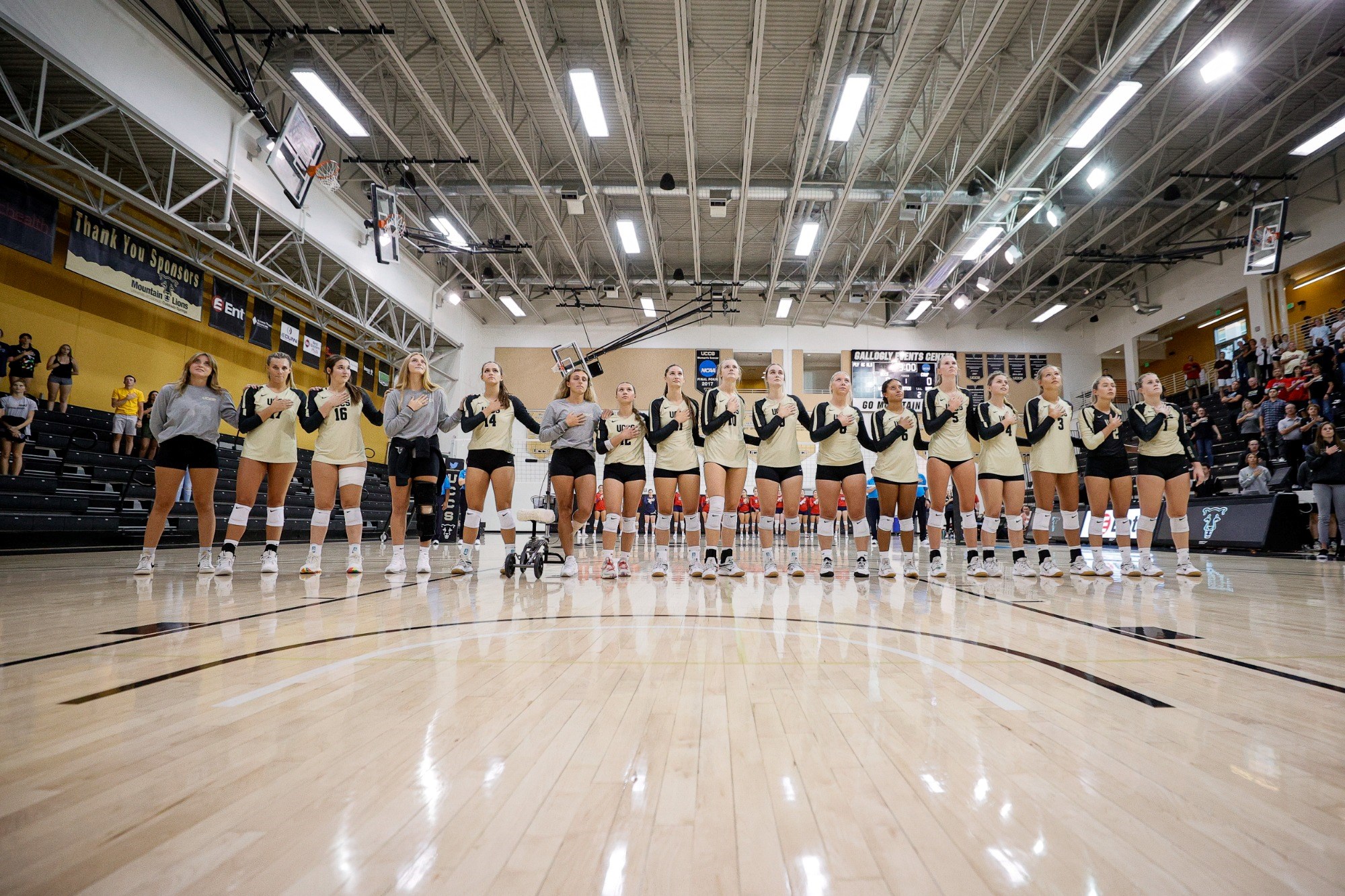 Volleyball Defeated by No. 17 Regis in Straight Sets - UCCS Athletics