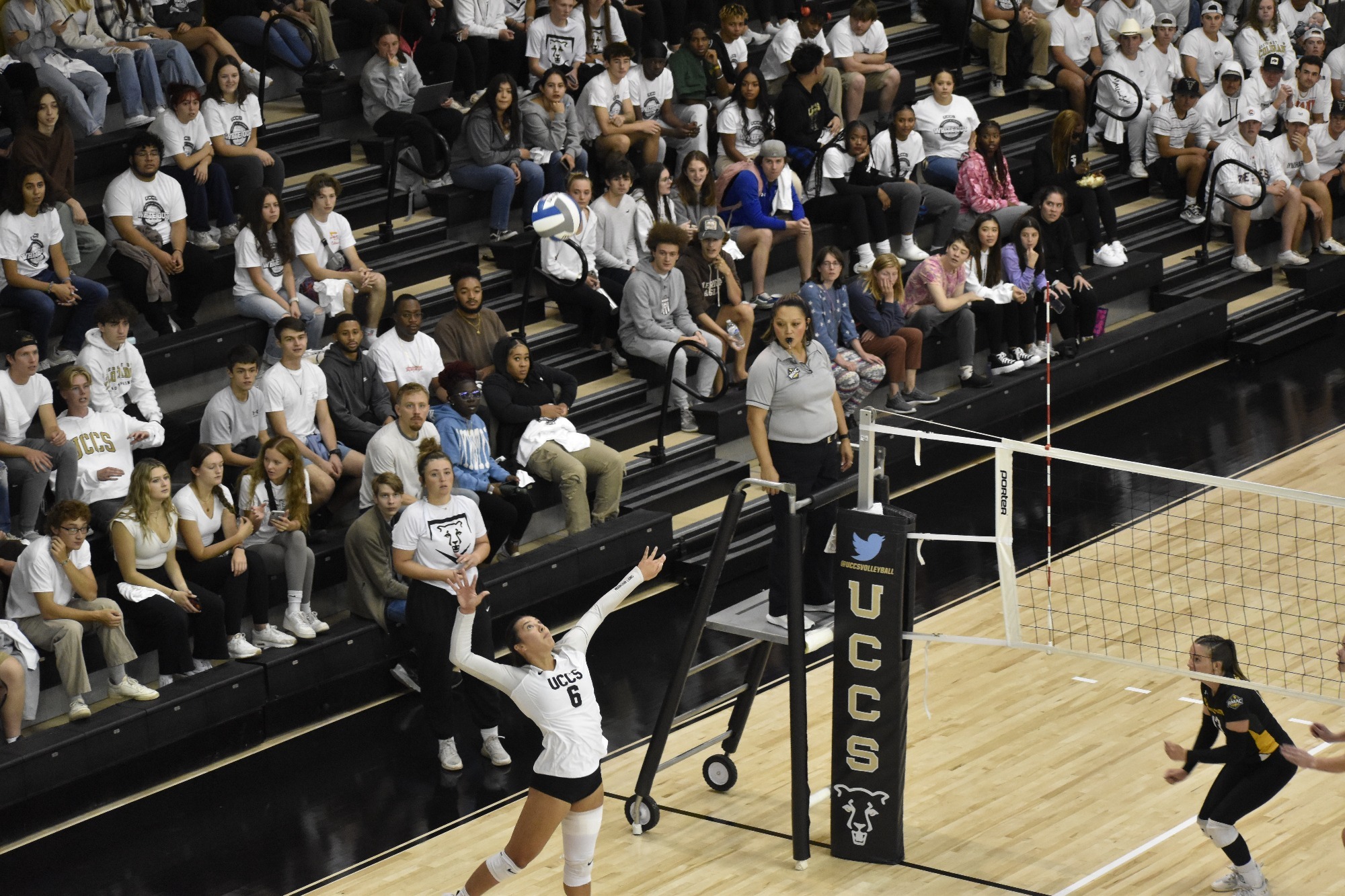Big Rallies Propel Mountain Lions Past Yellow Jackets in Four Sets - UCCS Athletics