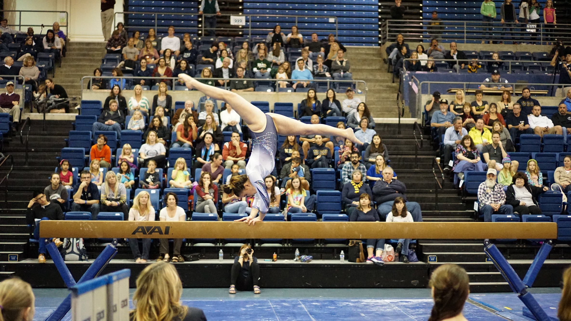 Katy Nogaki - Women's Gymnastics - UC Davis Athletics