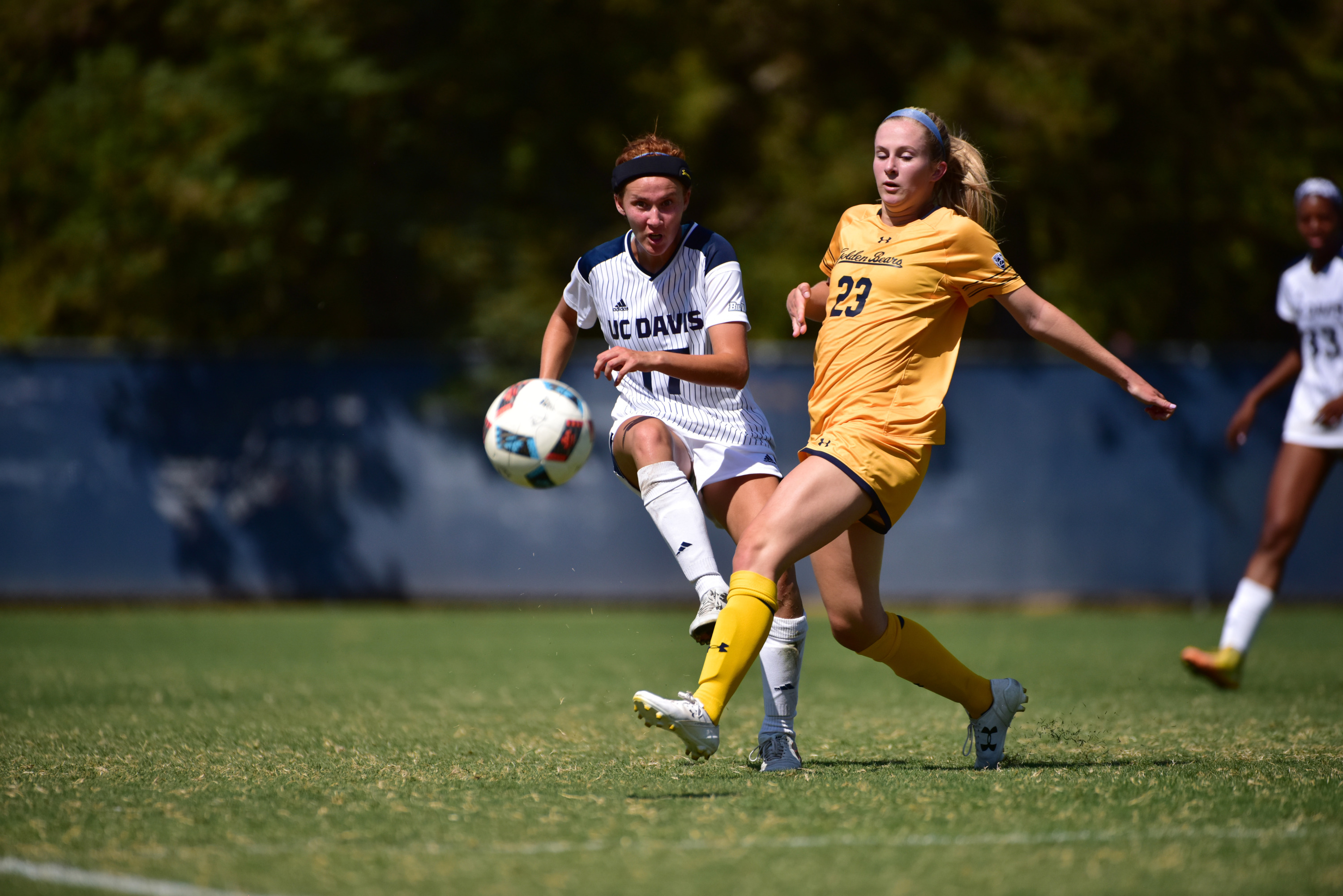 Hailey Rittershofer - Women's Soccer - UC Davis Athletics