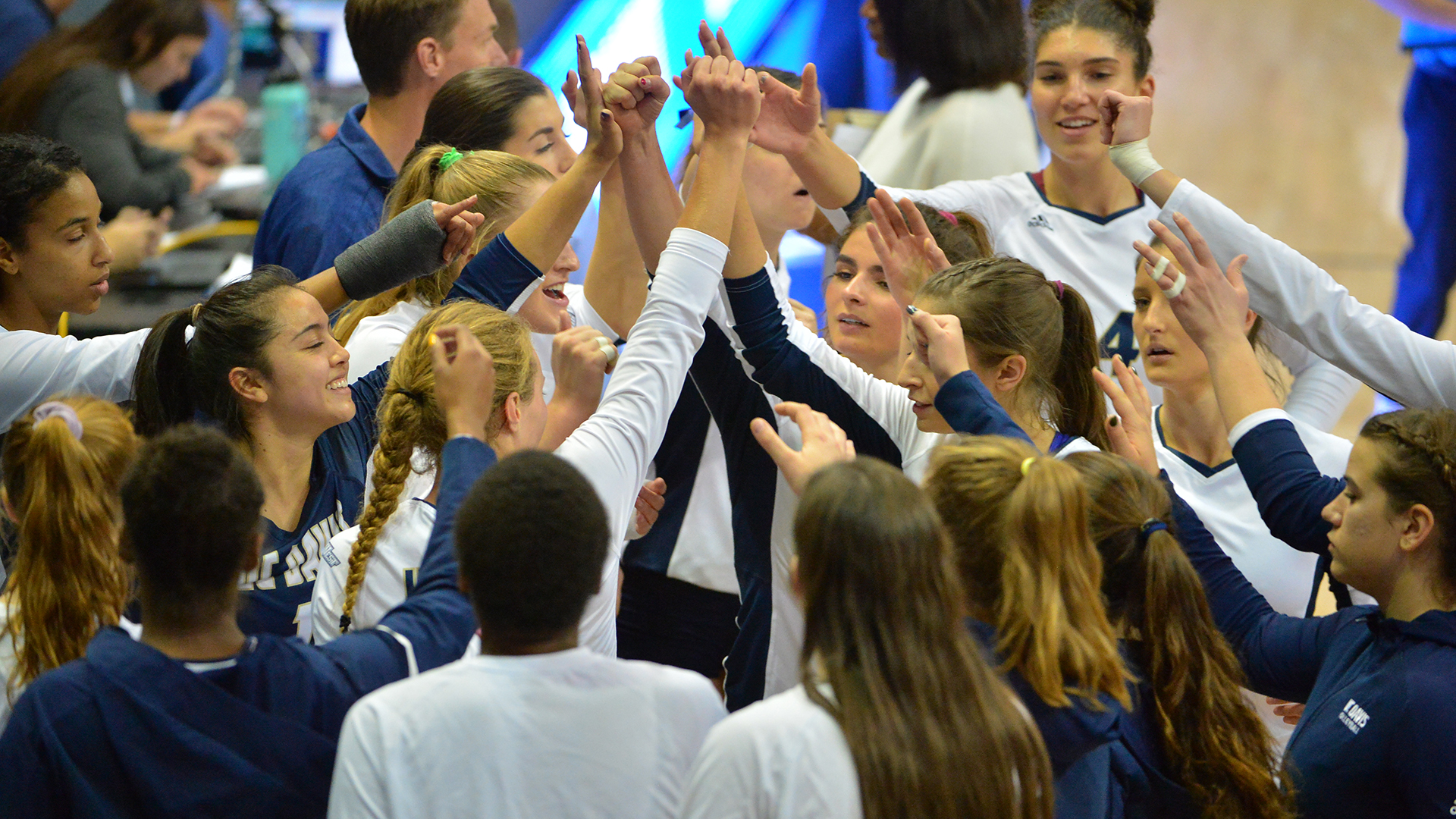 Nicola Moore - Women's Volleyball - UC Davis Athletics