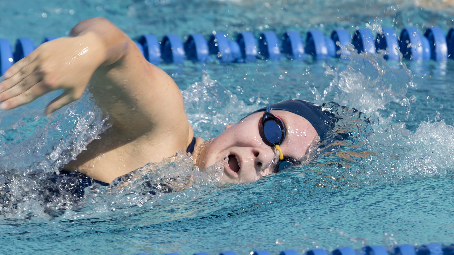 Allison Hodge - Women's Swimming & Diving - UC Davis Athletics