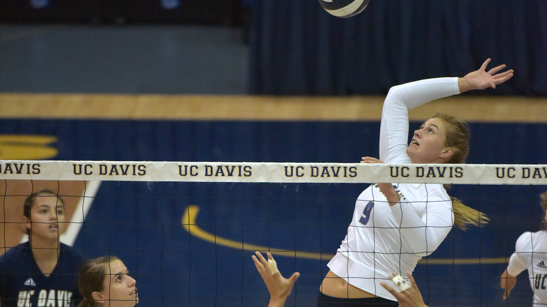 Jackie Graves - Women's Volleyball - UC Davis Athletics