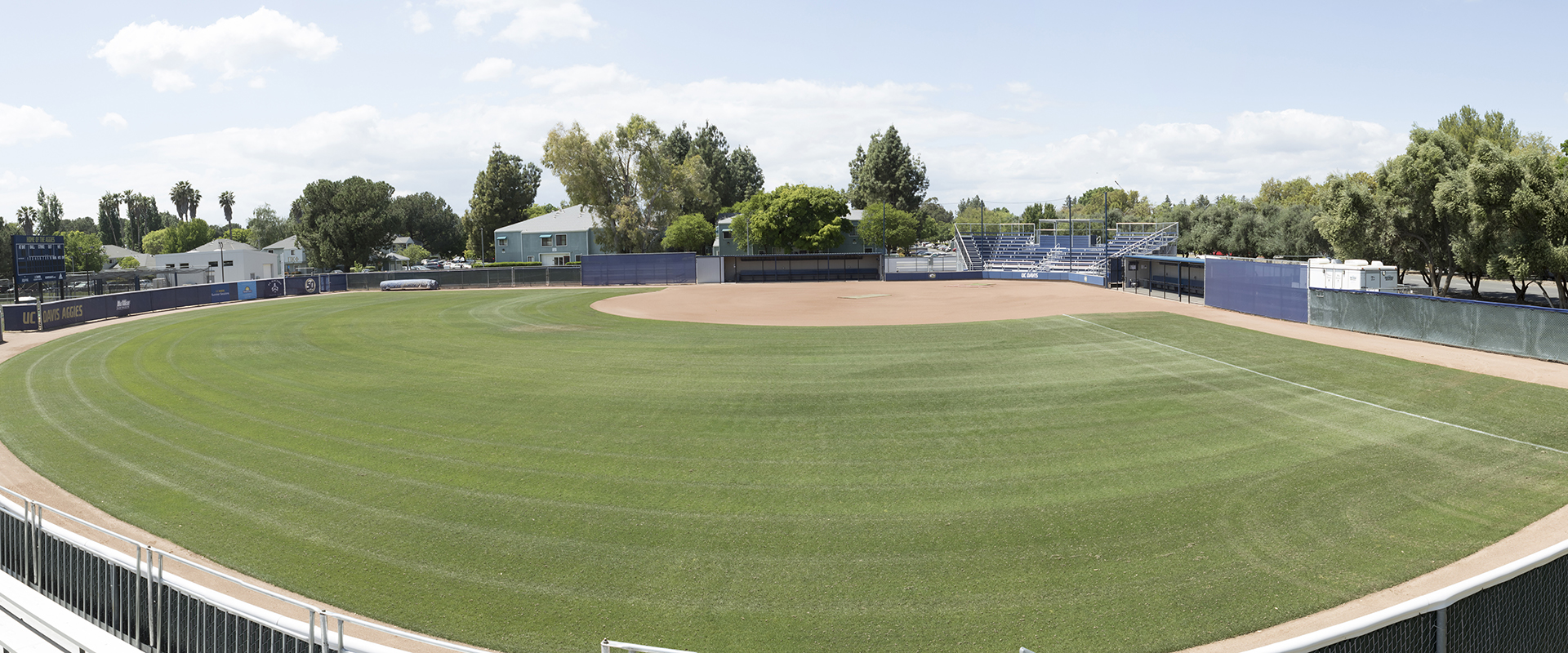 Softball announces 2022 fall schedule - UC Davis Athletics